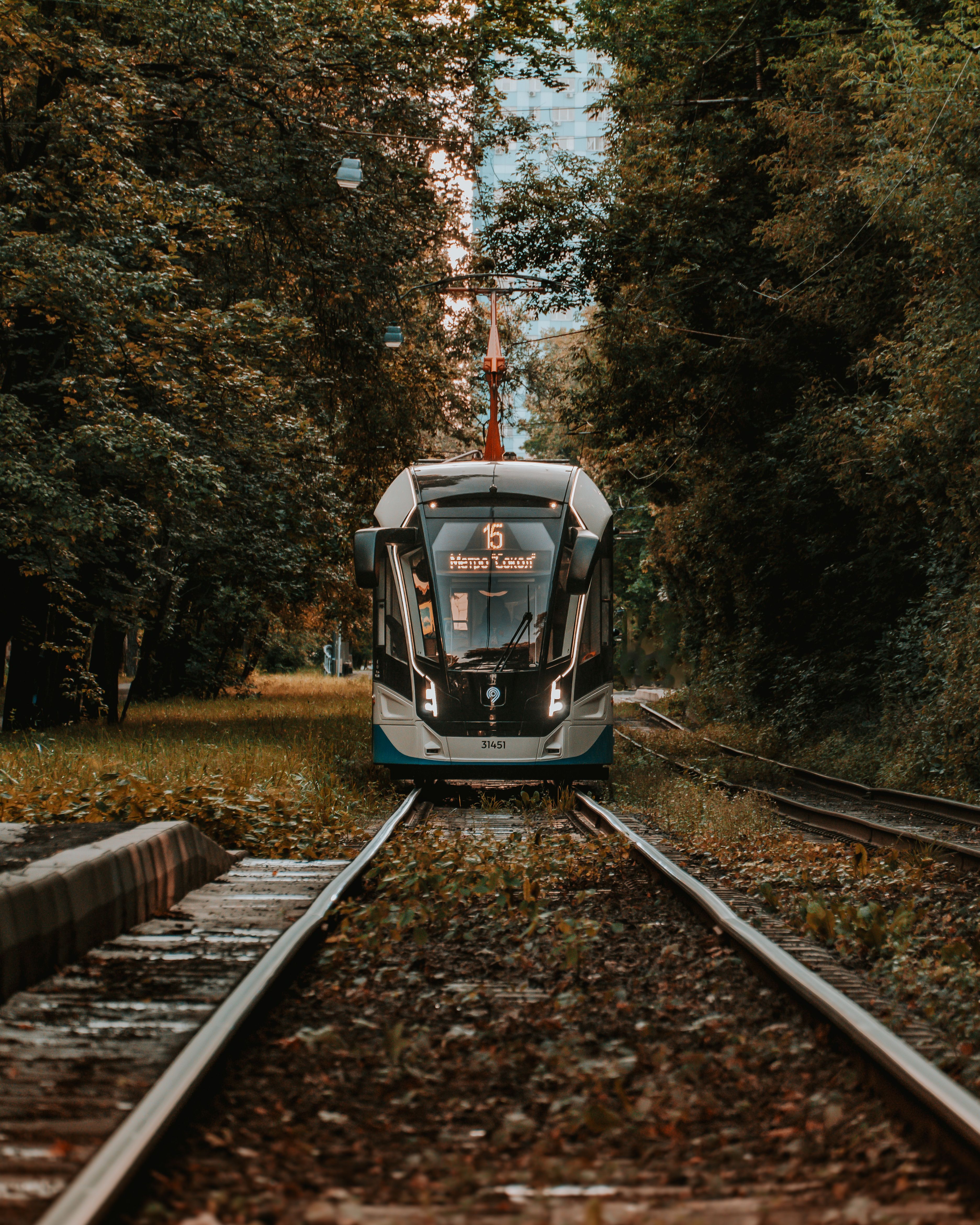 Modern tram on tree-lined railway track · Free Stock Photo