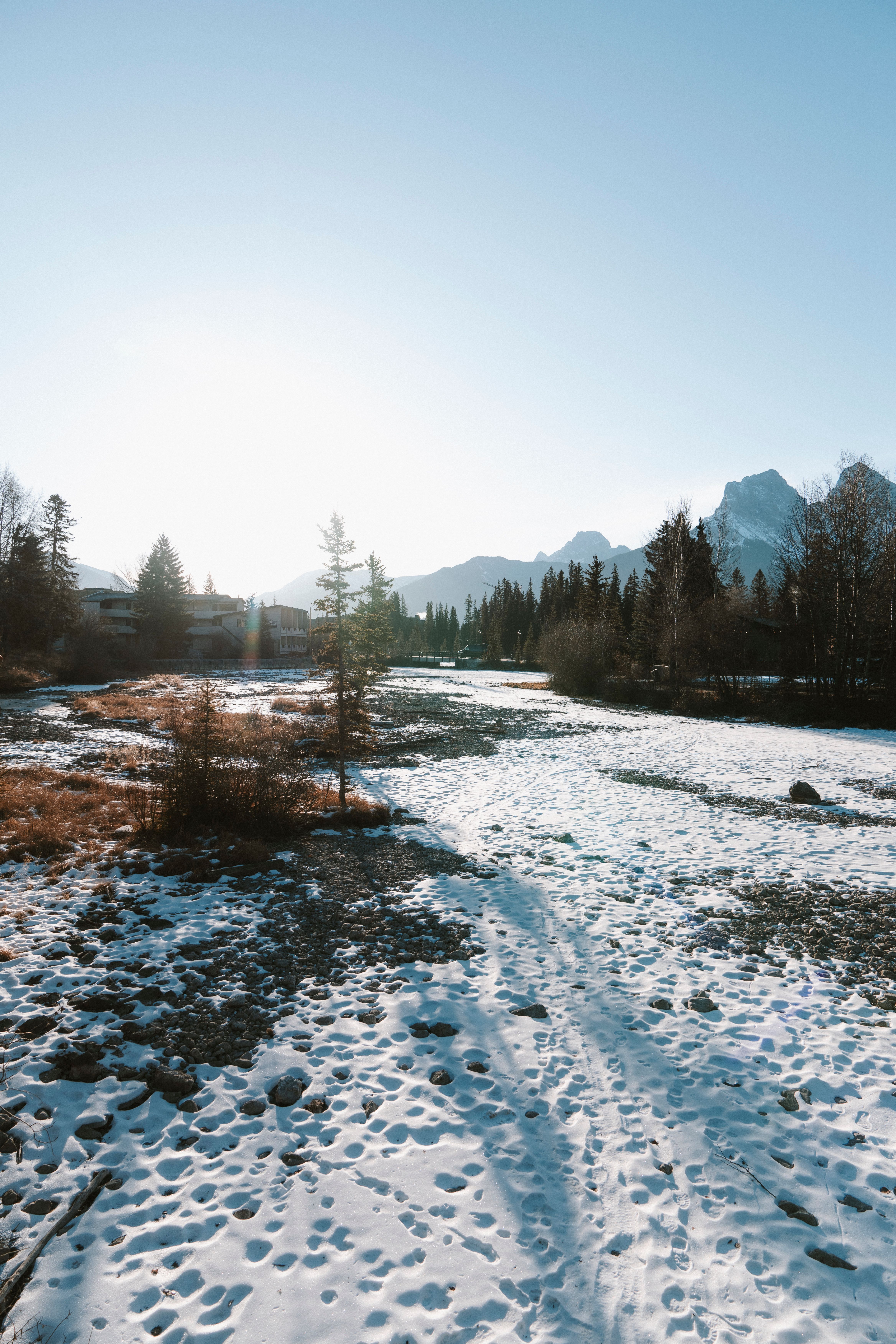 Serene Snowy Landscape in Alberta, Canada · Free Stock Photo