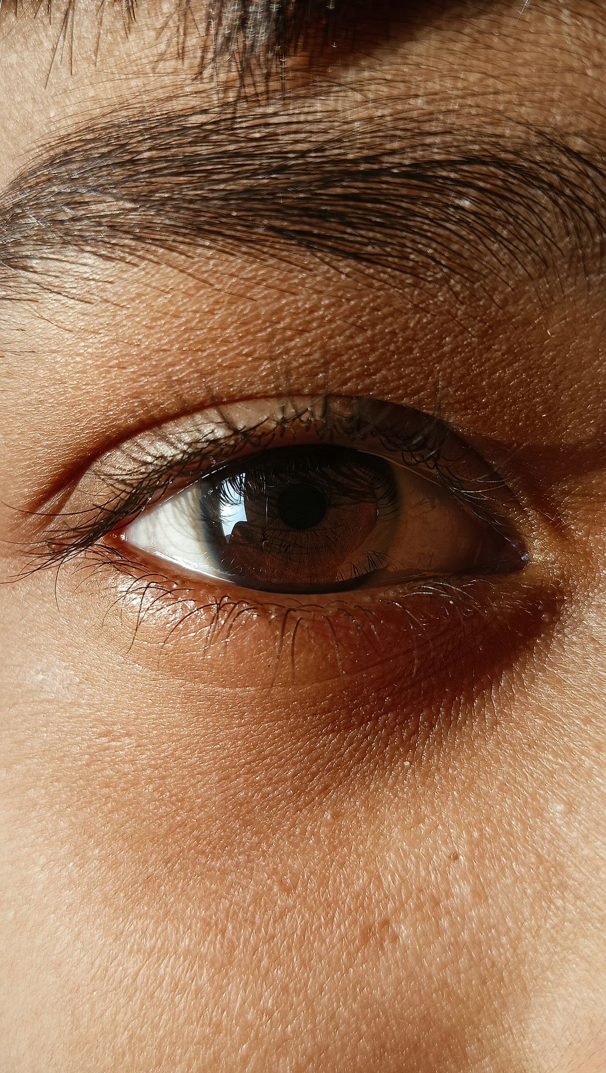 Human Eye Close Up Photos, Download The BEST Free Human Eye Close Up ...
