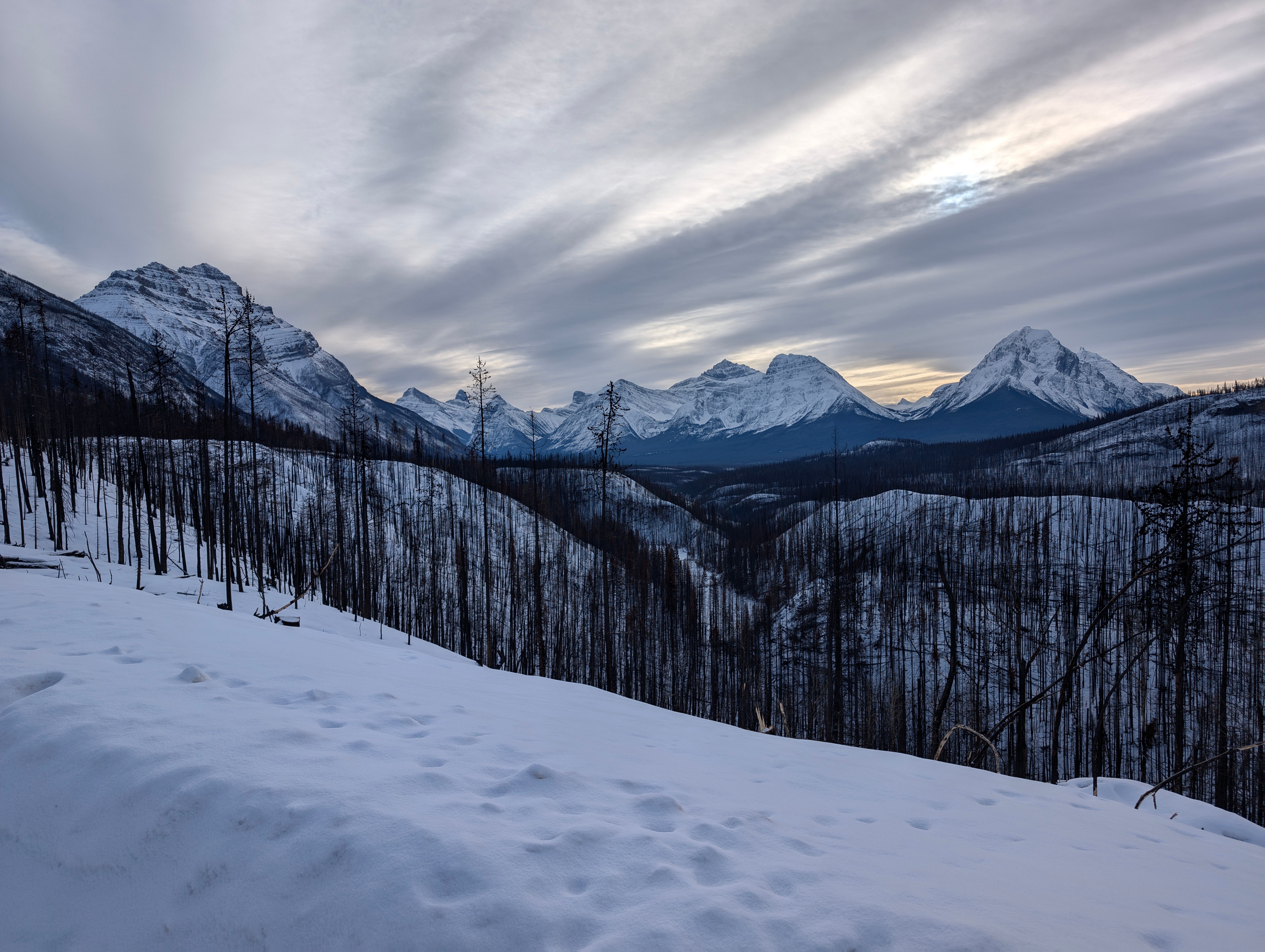 Snowy Mountain Landscape in Jasper National Park · Free Stock Photo