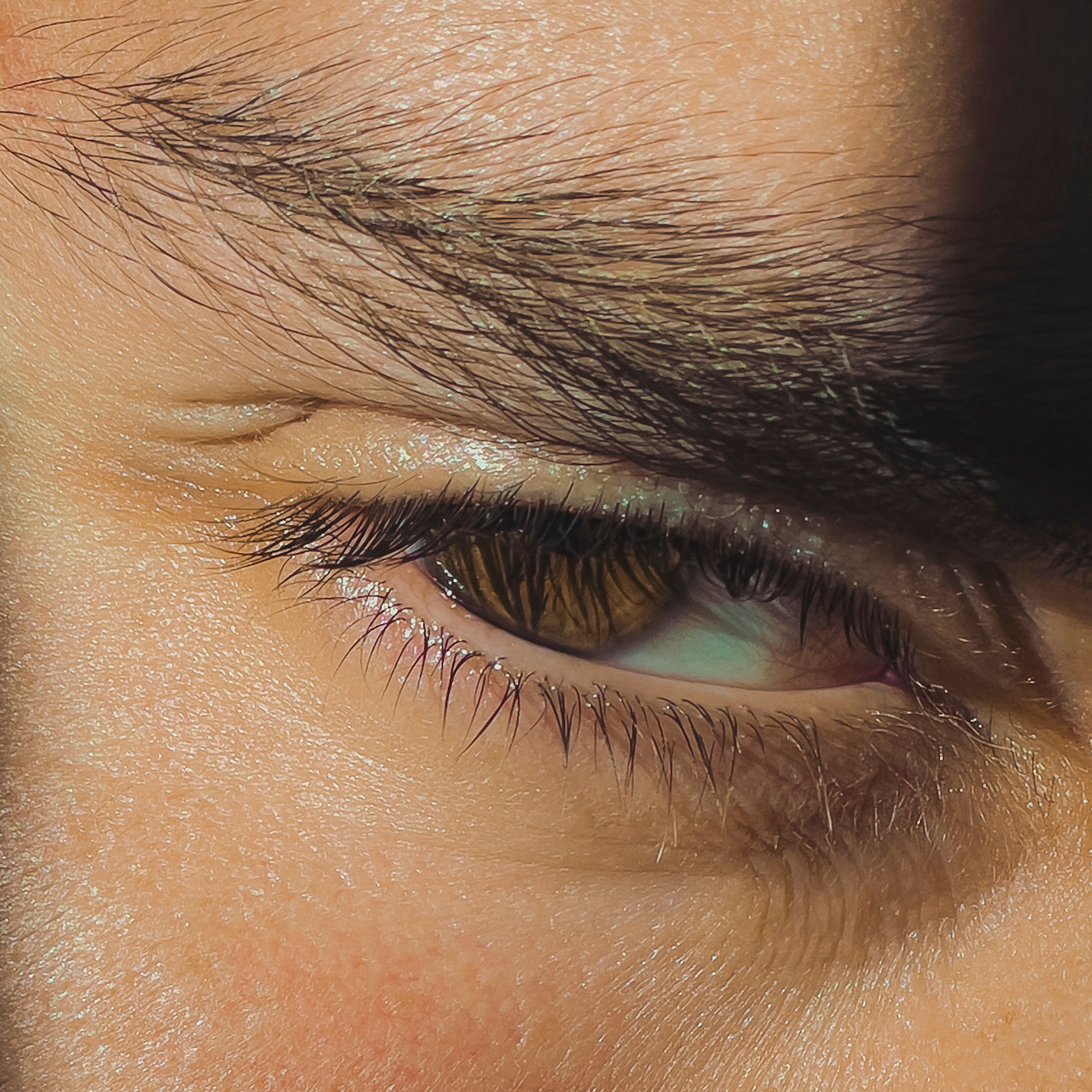 Close-up of Human Eye with Sunlight Reflection · Free Stock Photo