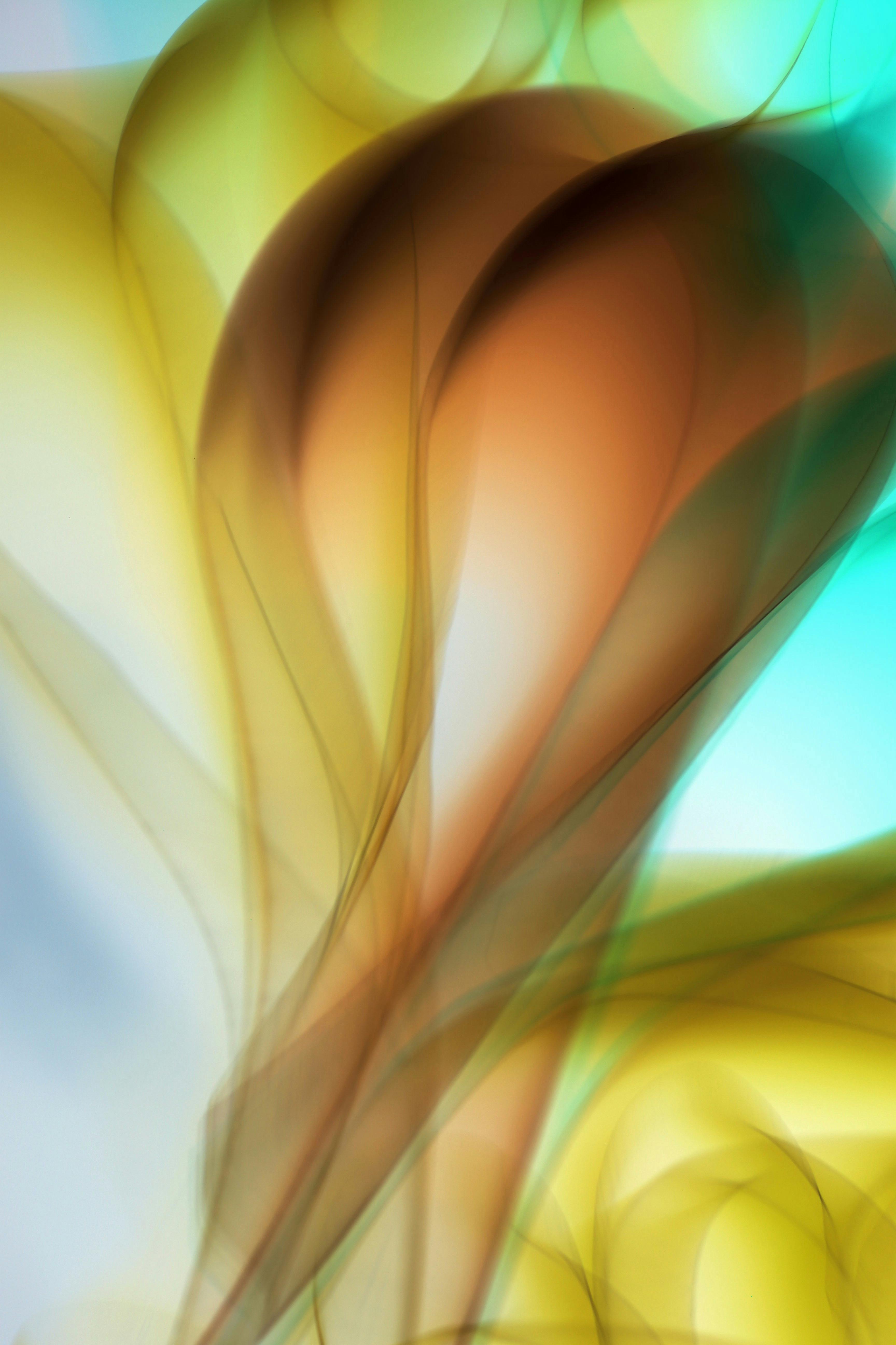 Colorful Abstract Flowing Shapes Artwork · Free Stock Photo