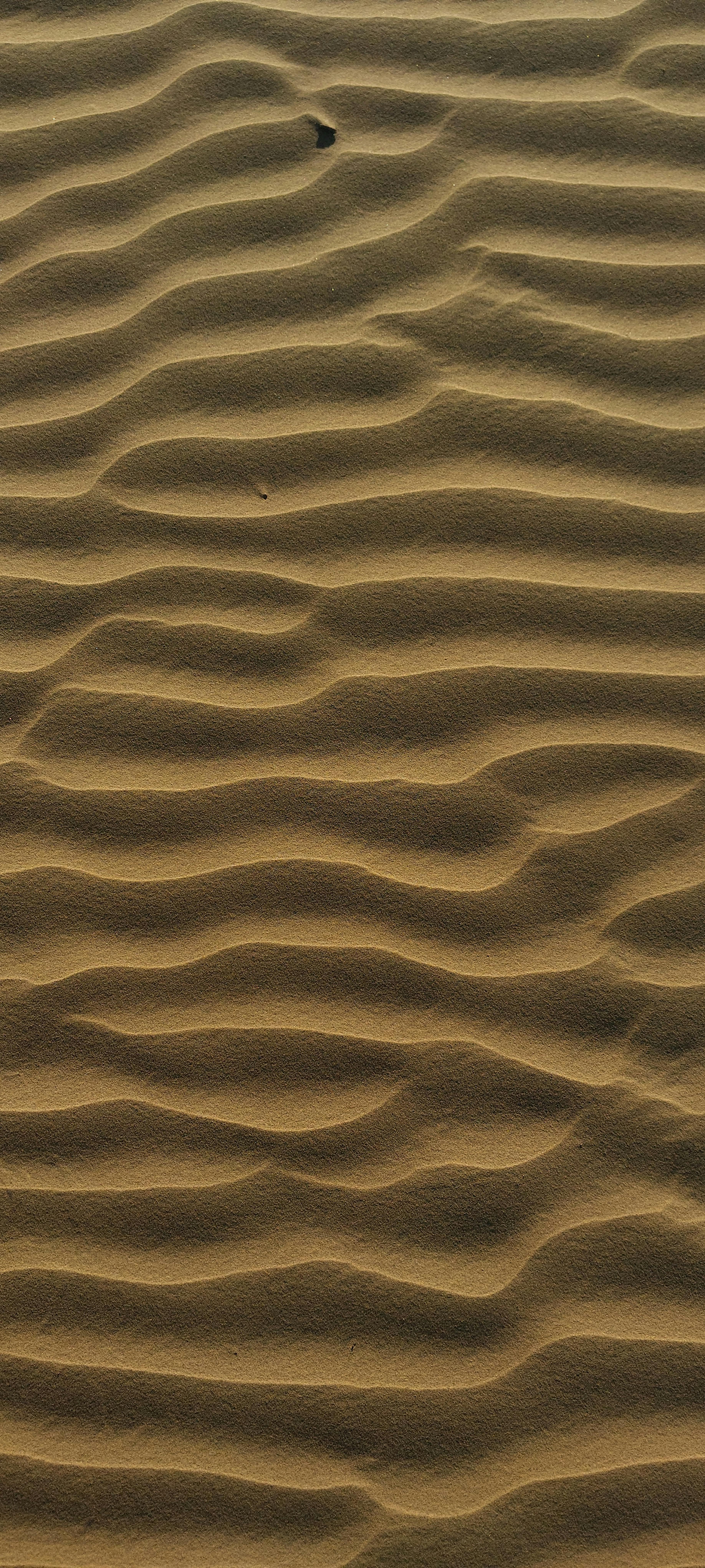 Mesmerizing Sand Dune Patterns in Desert · Free Stock Photo
