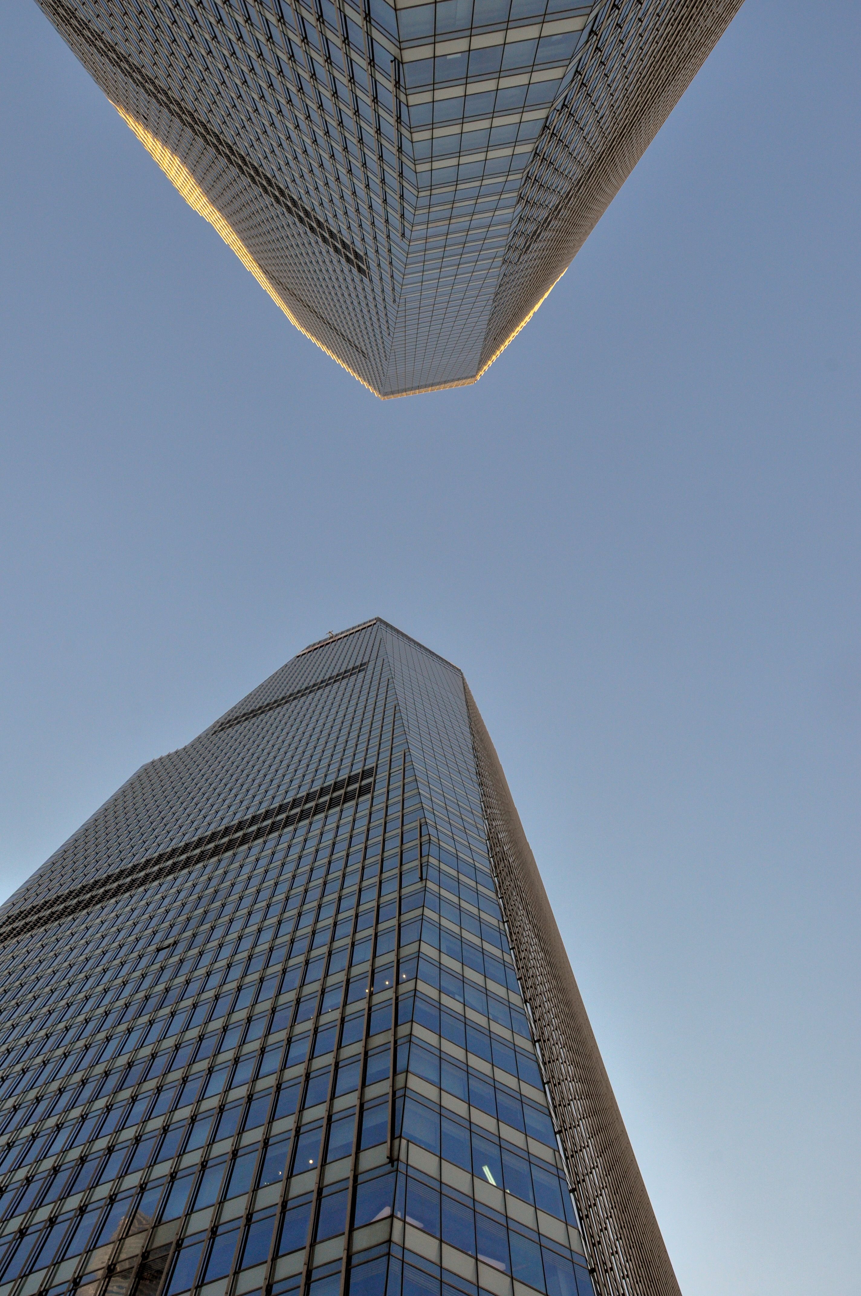 Skyscrapers Soaring in Shanghai's Skyline · Free Stock Photo
