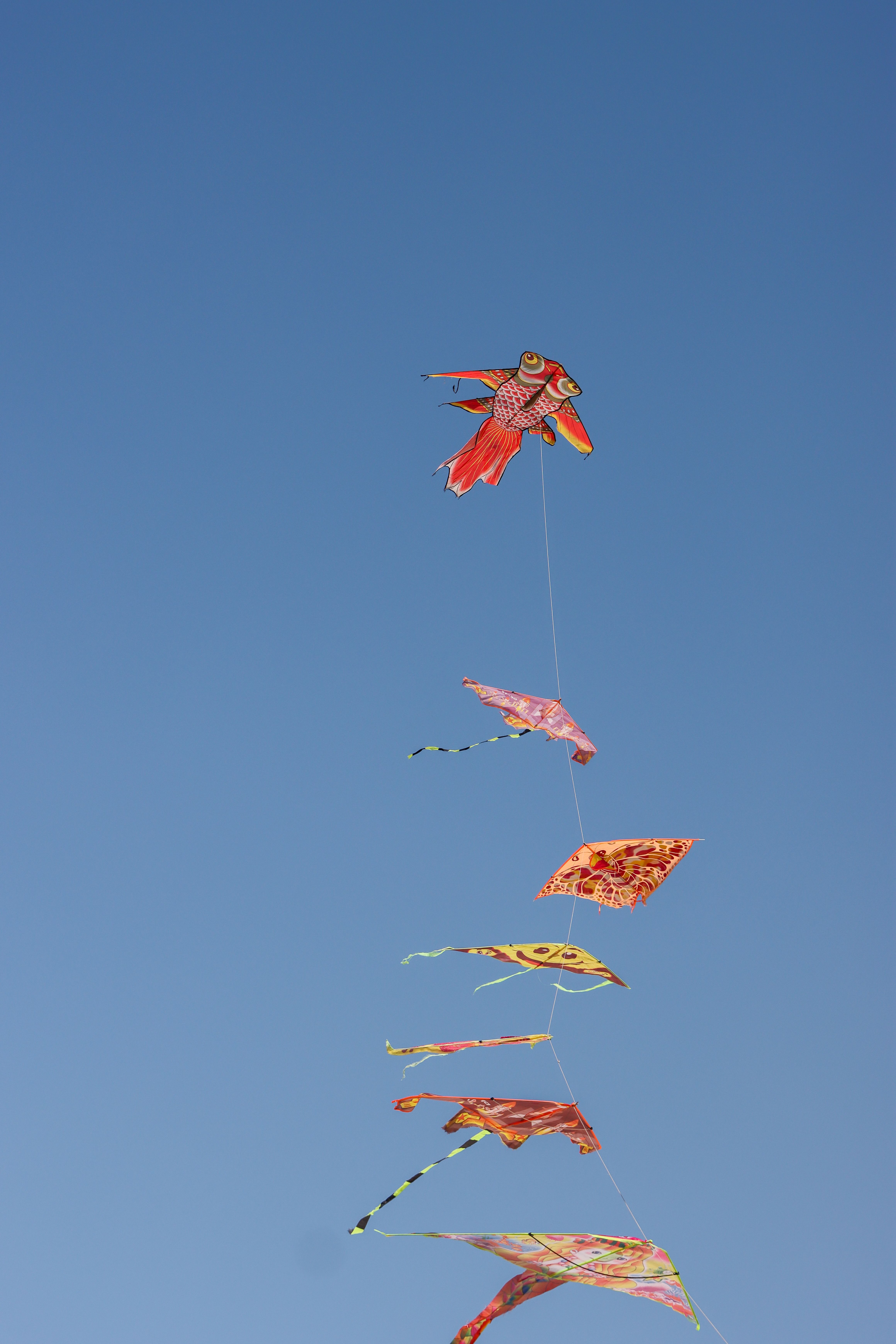 Kite+Clipart Photos, Download The BEST Free Kite+Clipart Stock Photos ...