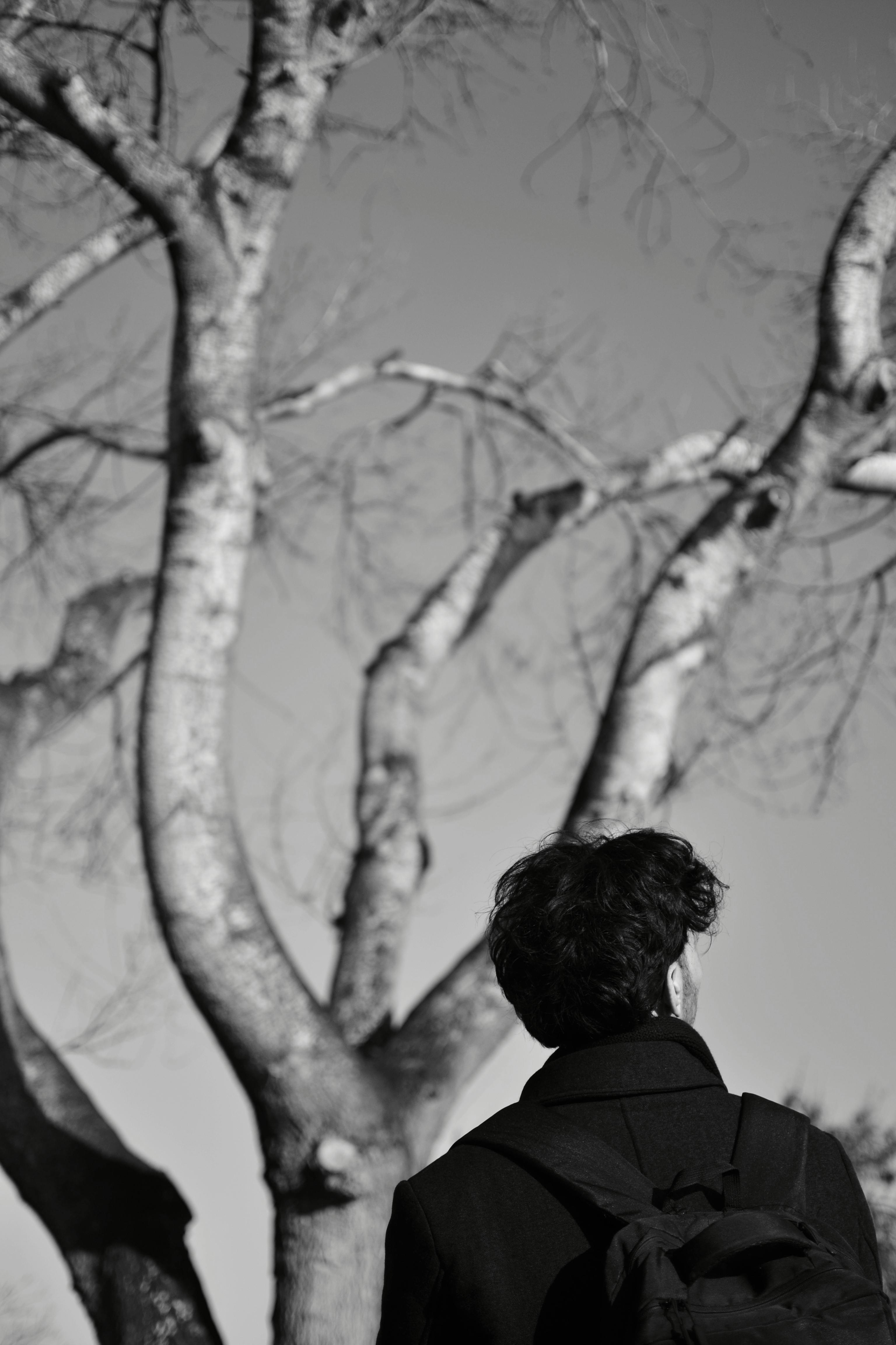 Contemplative Back View of Person by Tree · Free Stock Photo