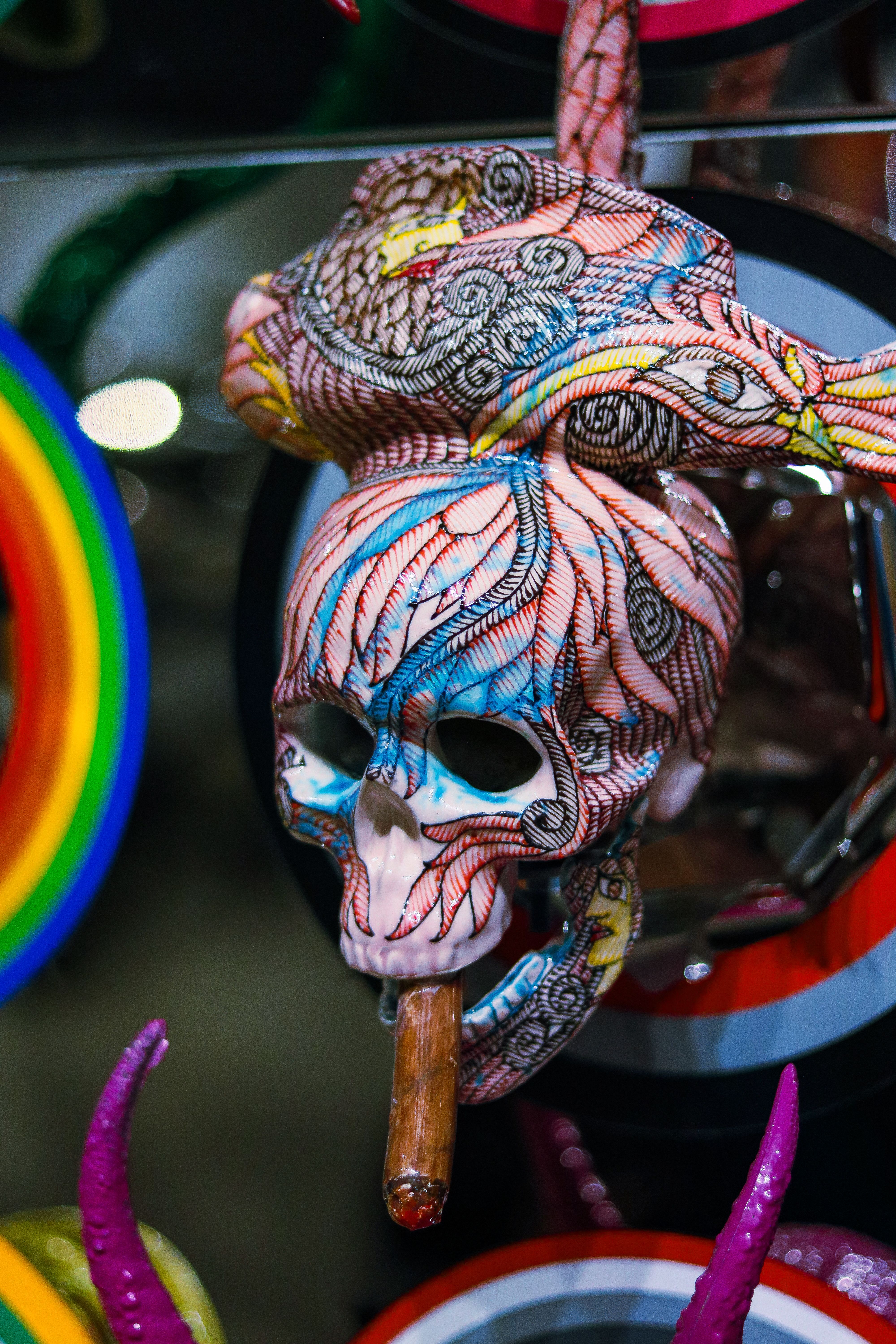 Vibrant Artistic Skull with Intricate Patterns · Free Stock Photo