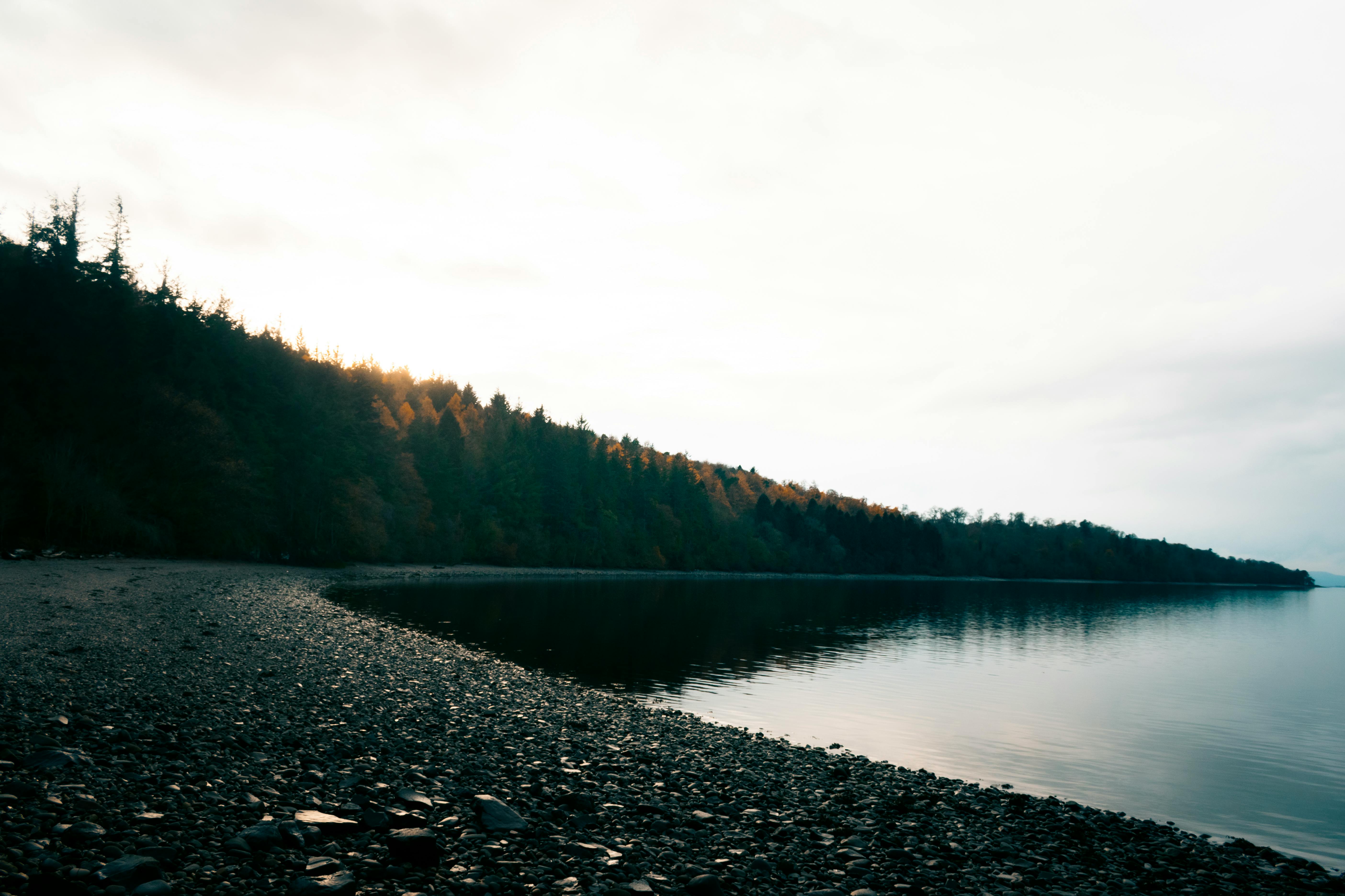 Una Playa En La Orilla De Un Río Rodeada De árboles En Escocia · Foto ...