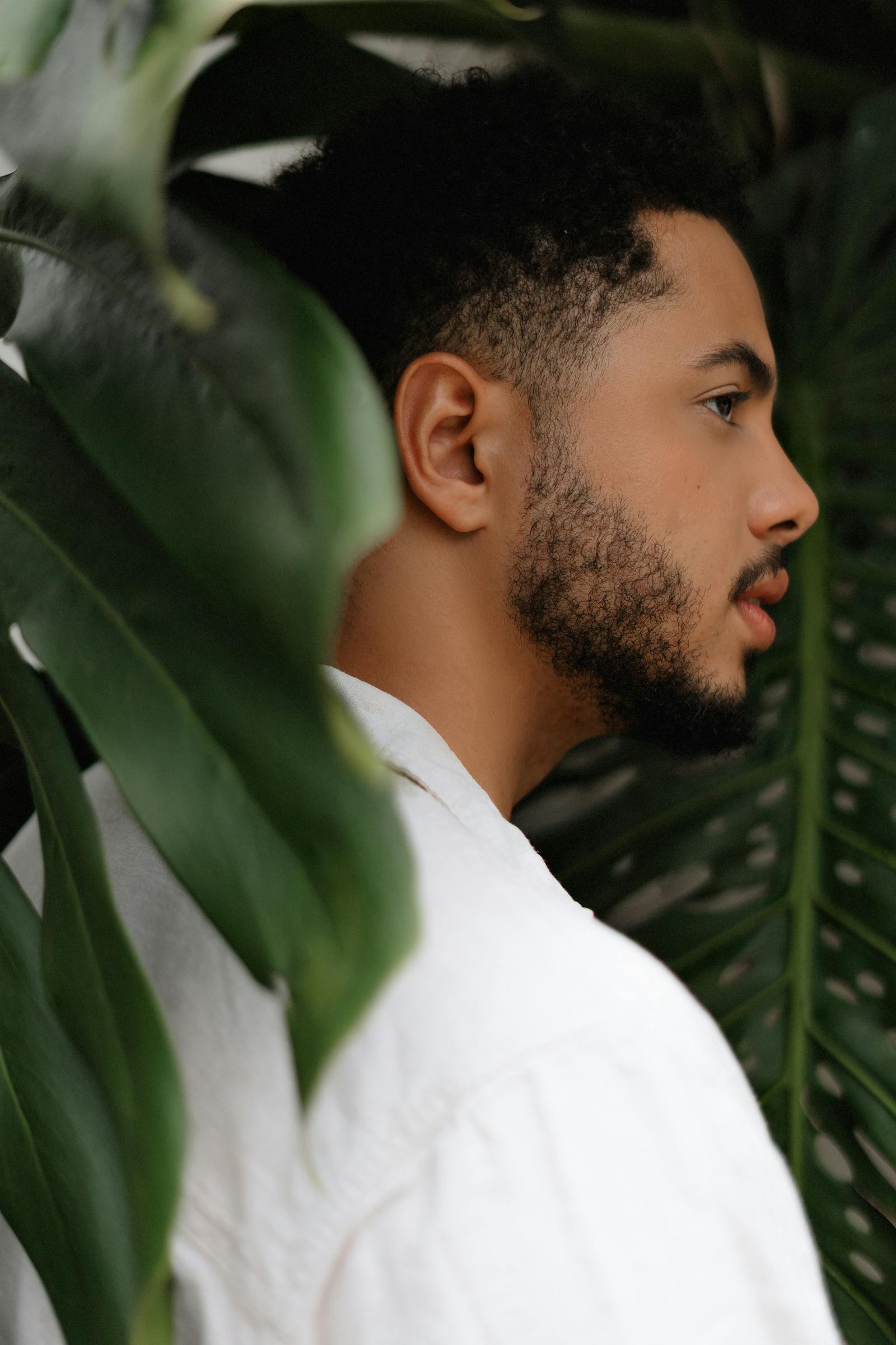 Man Face Left Side Photos, Download The BEST Free Man Face Left Side ...