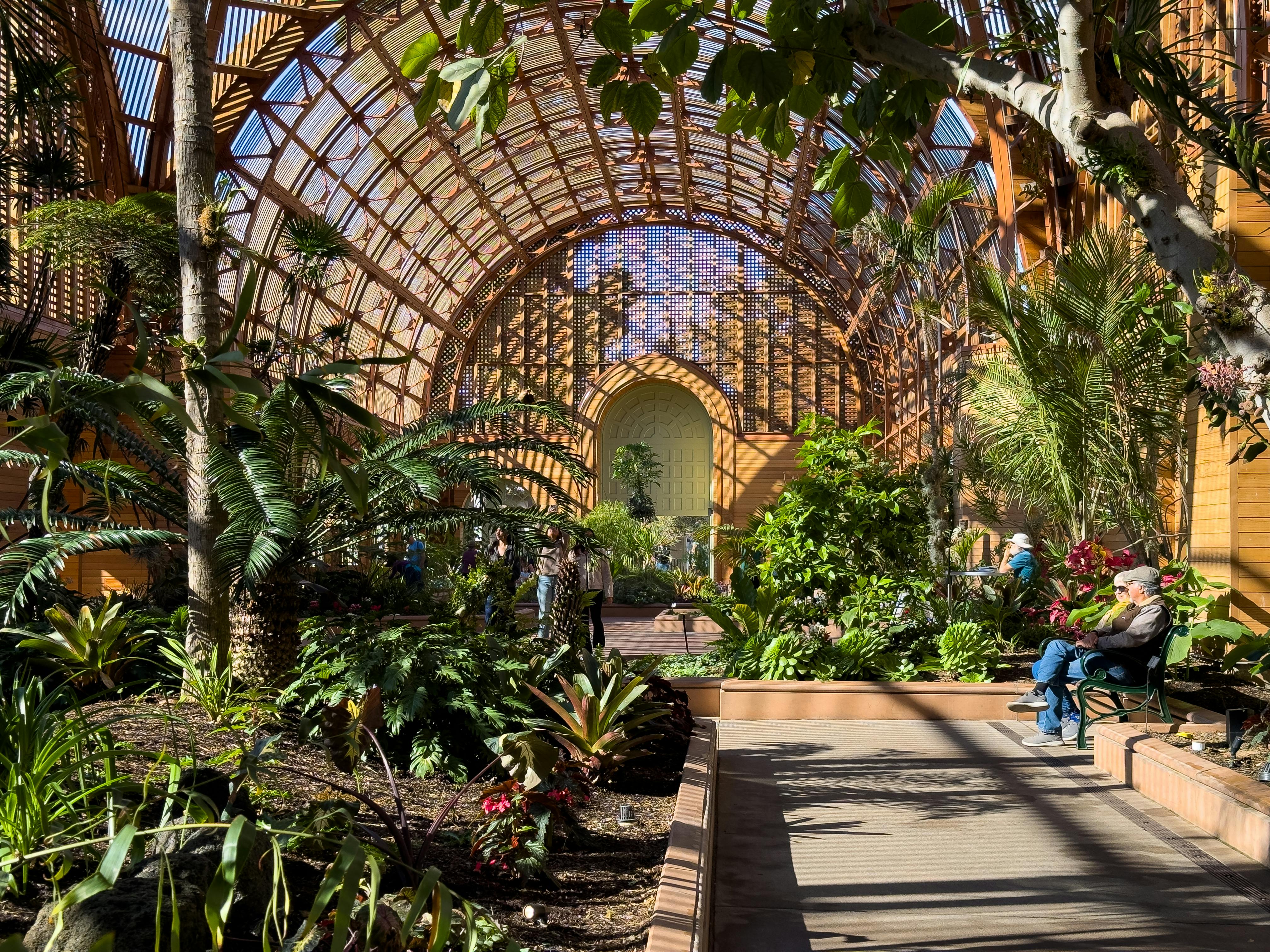 Serene Interior of Botanical Building in Balboa Park · Free Stock Photo