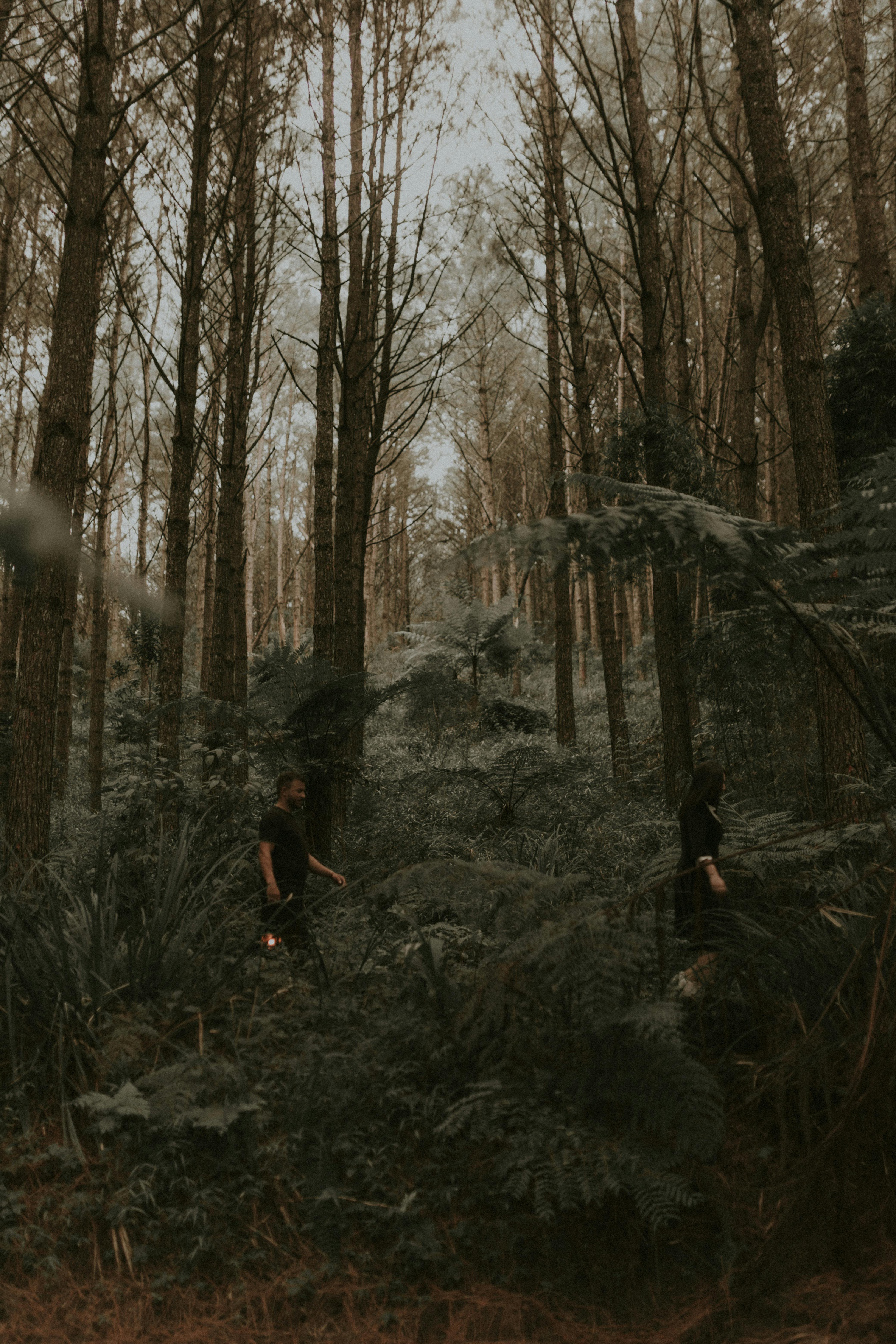 Explorers Walking Through Dense Forest · Free Stock Photo