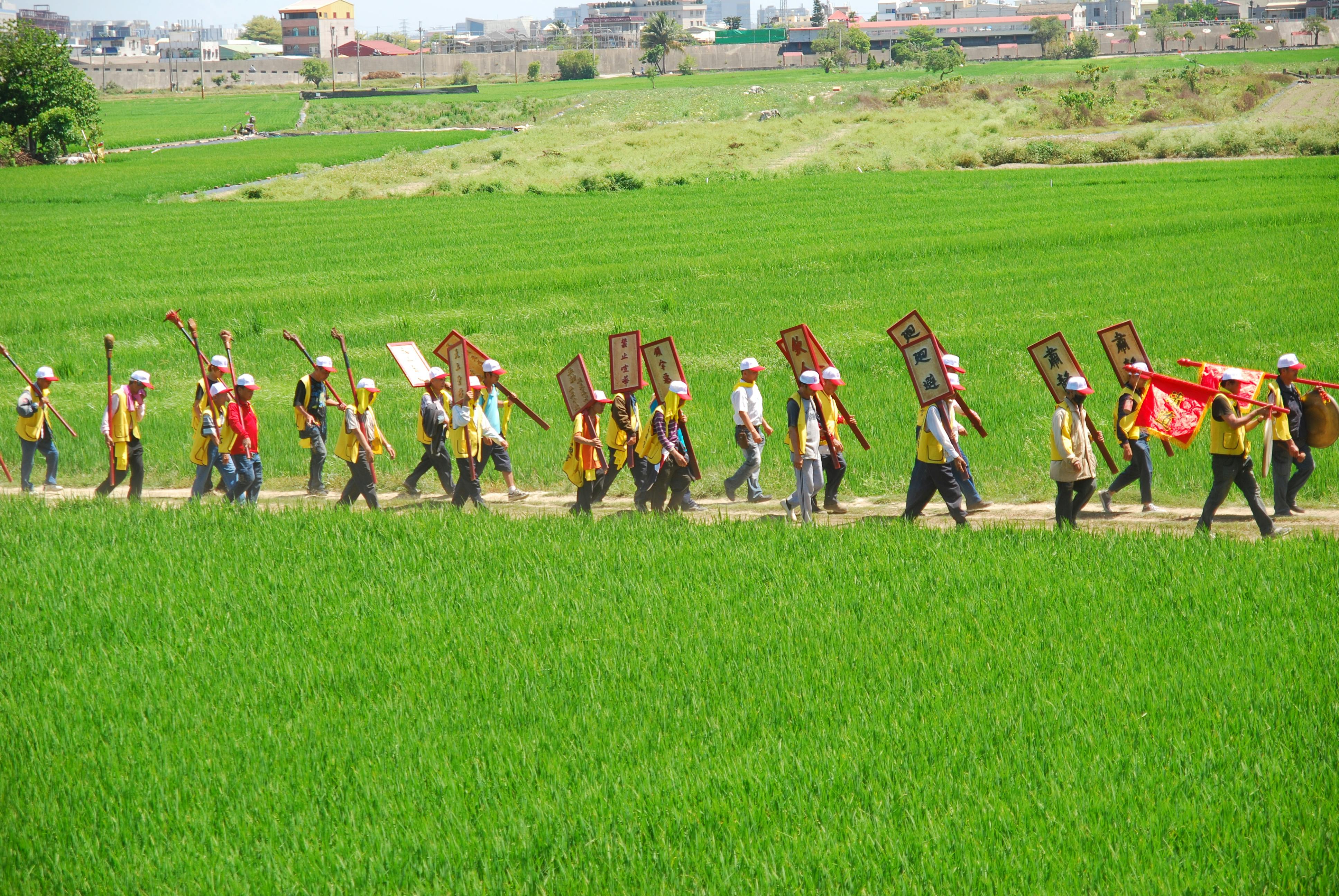 Green Activity Photos, Download The BEST Free Green Activity Stock ...