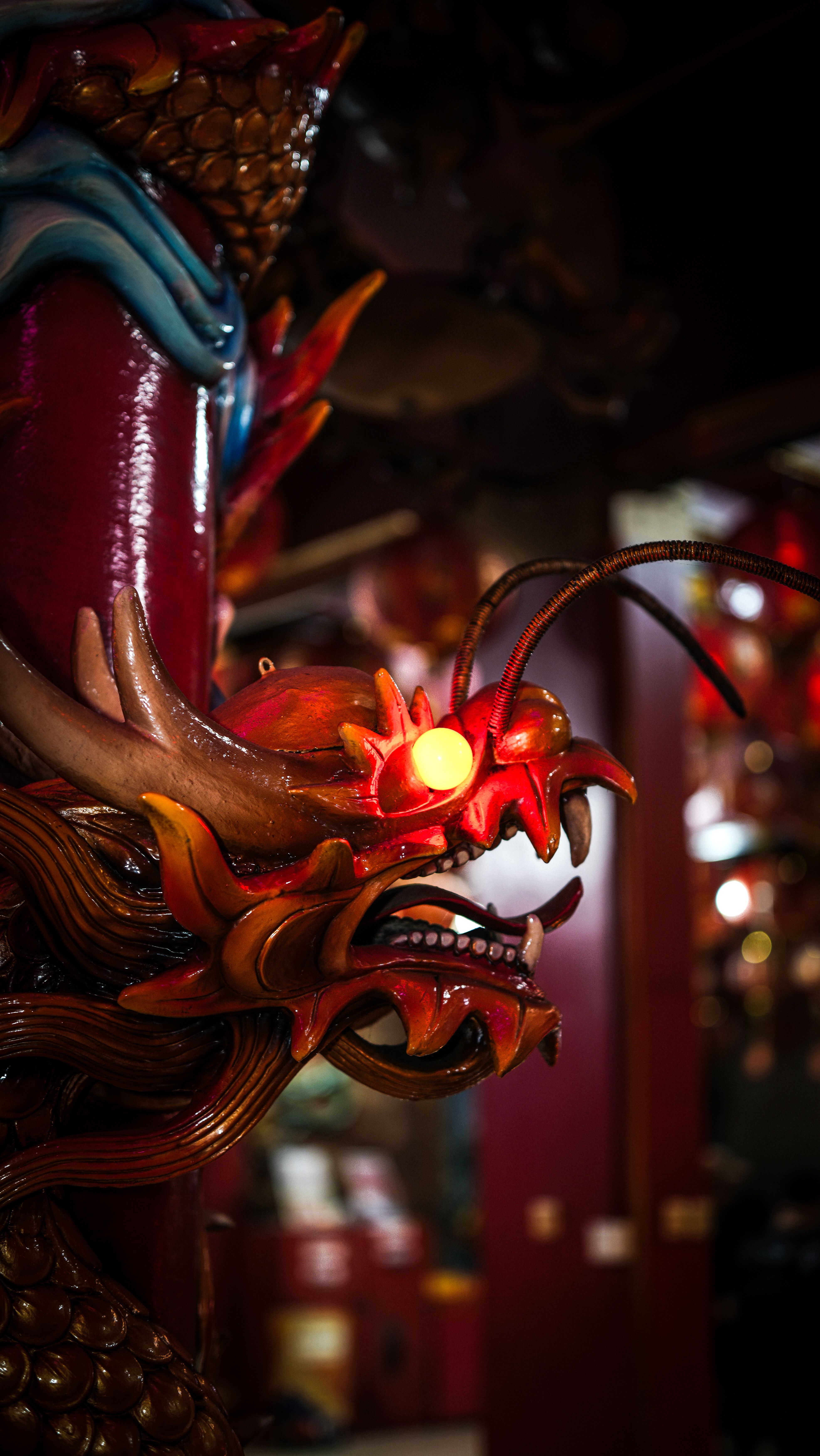 Red Dragon Photos, Download The BEST Free Red Dragon Stock Photos & HD ...