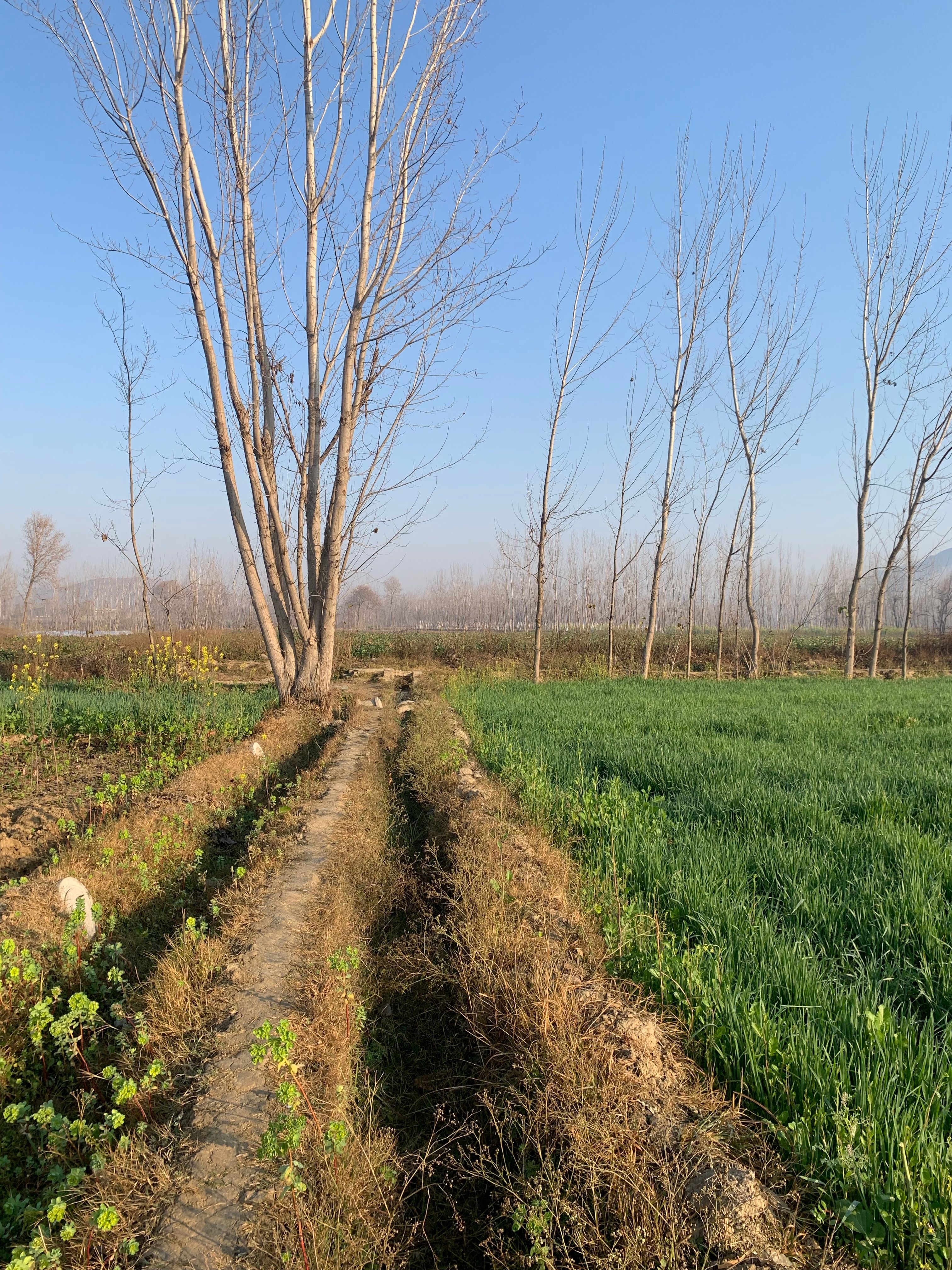 Rustic Countryside Path in Early Spring Landscape · Free Stock Photo