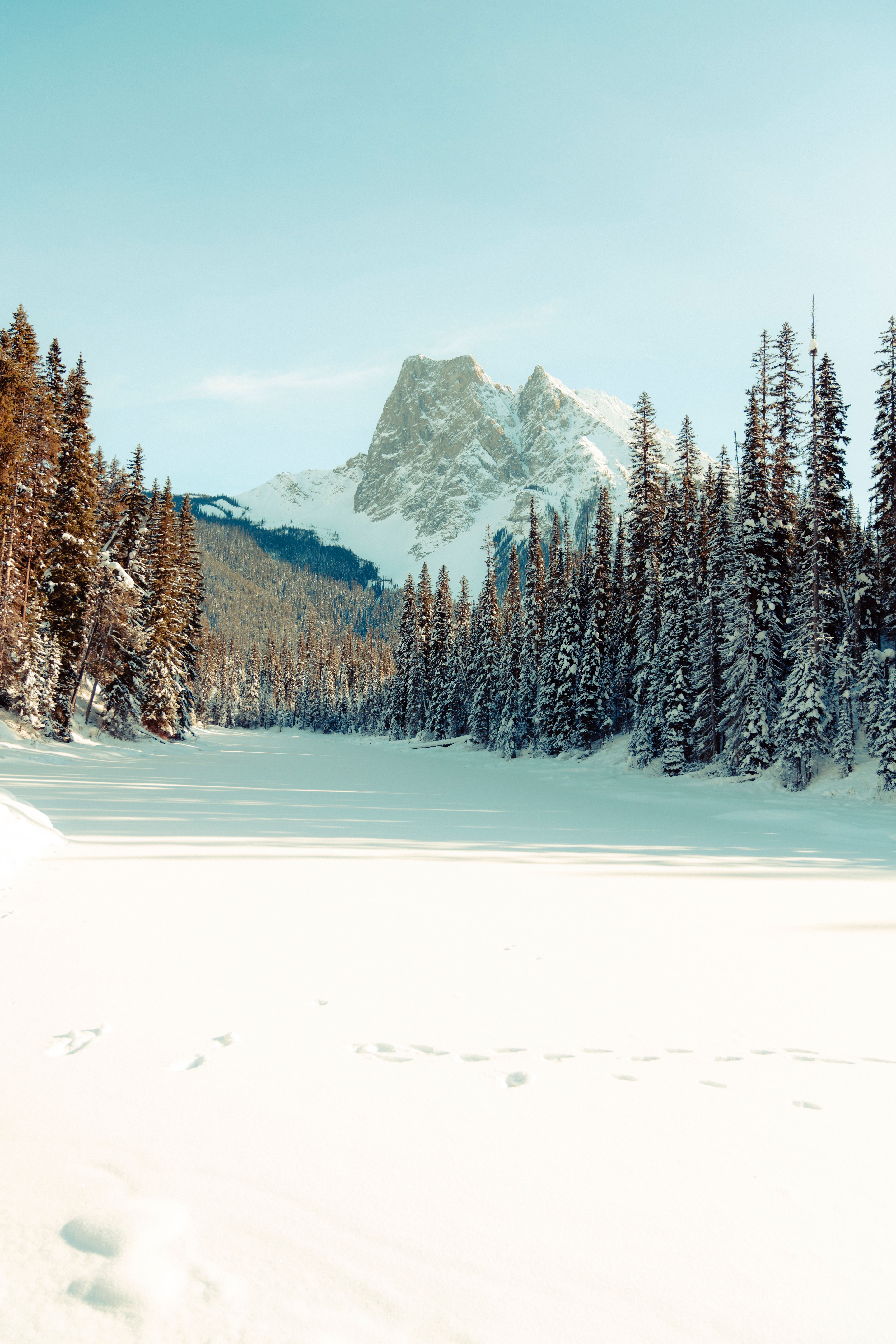 Scenic Winter Landscape in Alberta's Rockies · Free Stock Photo