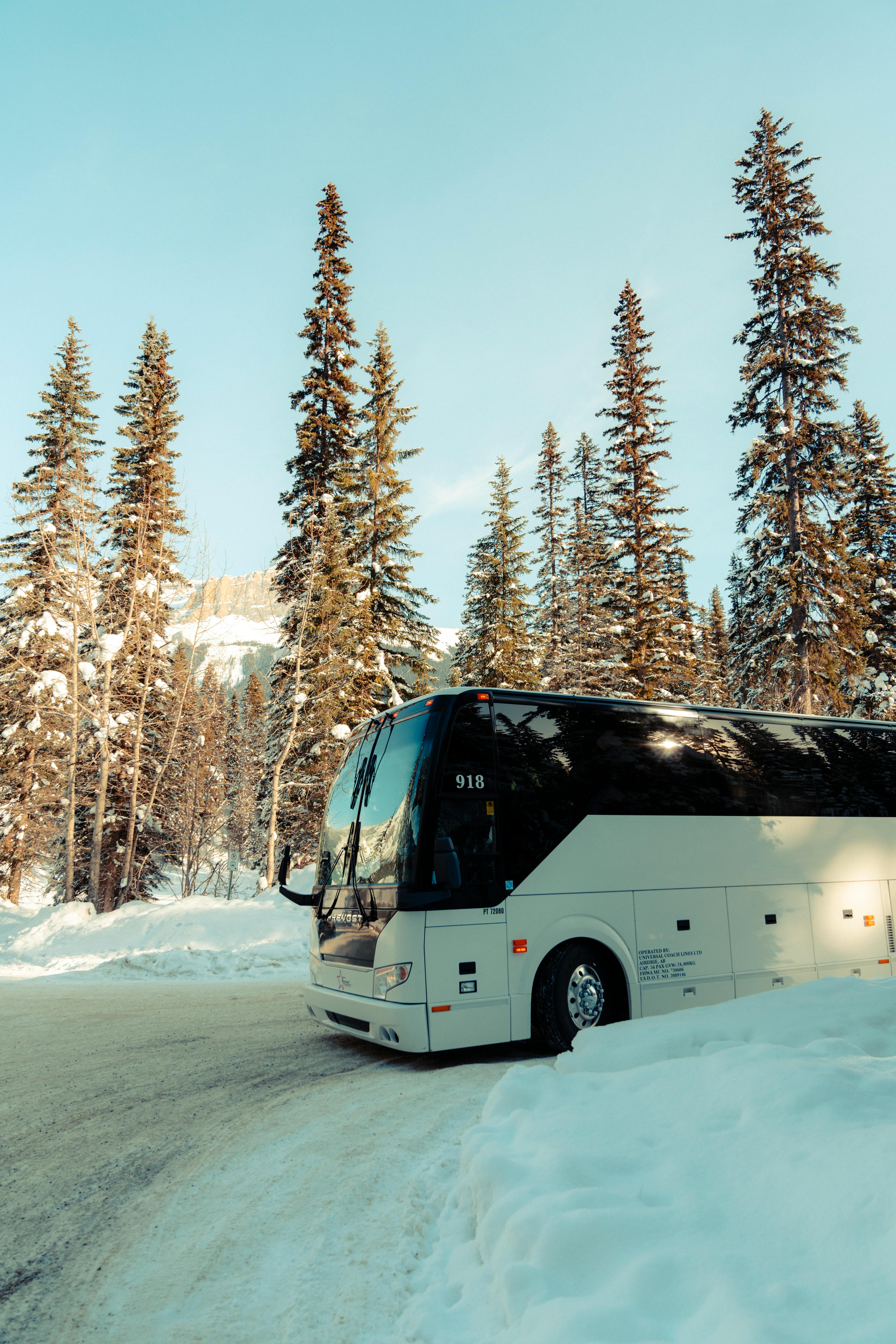 Bus Wallpaper Photos, Download The BEST Free Bus Wallpaper Stock Photos ...