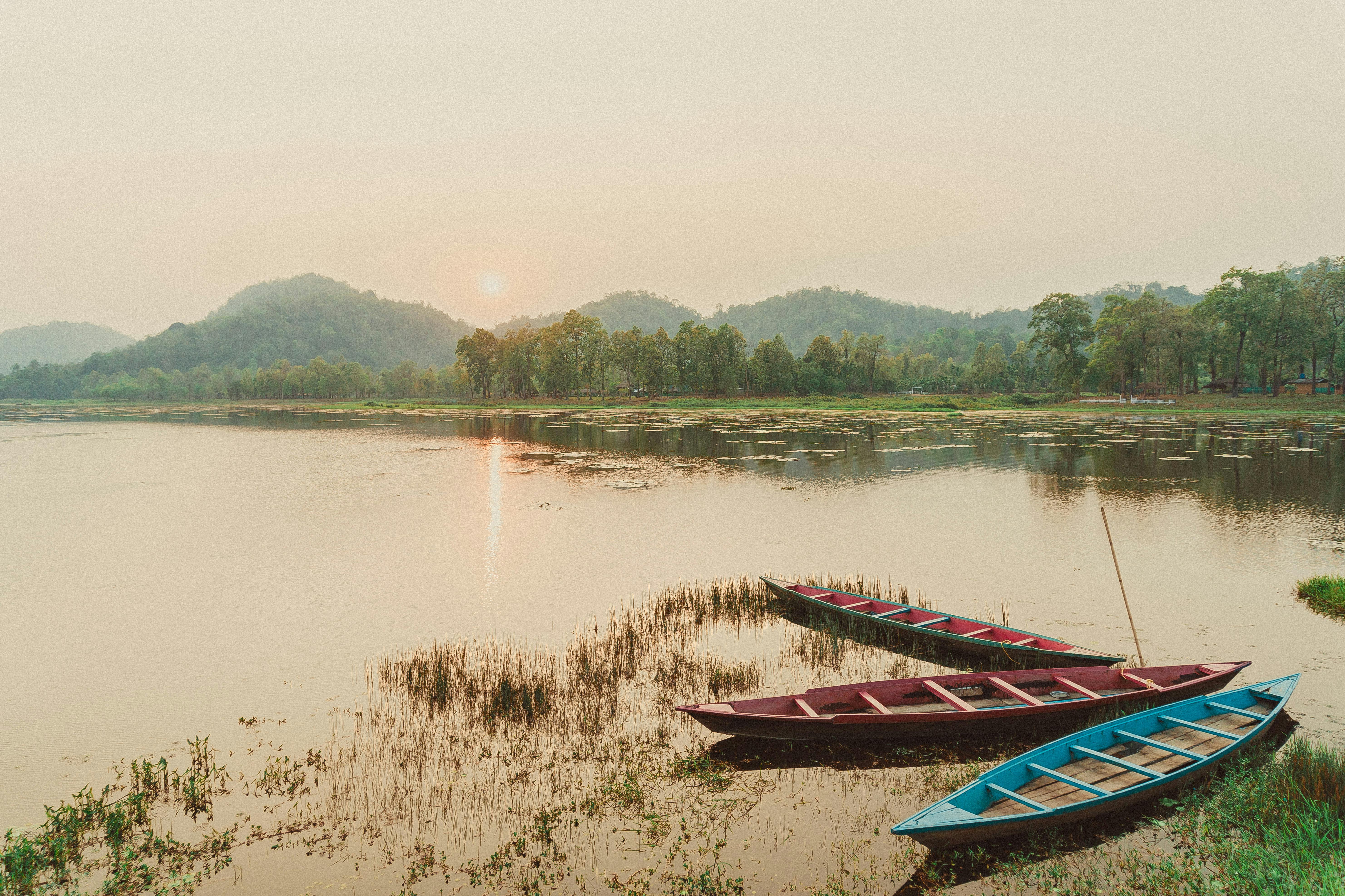 Tranquil Boats on a Lake in Assam, India · Free Stock Photo