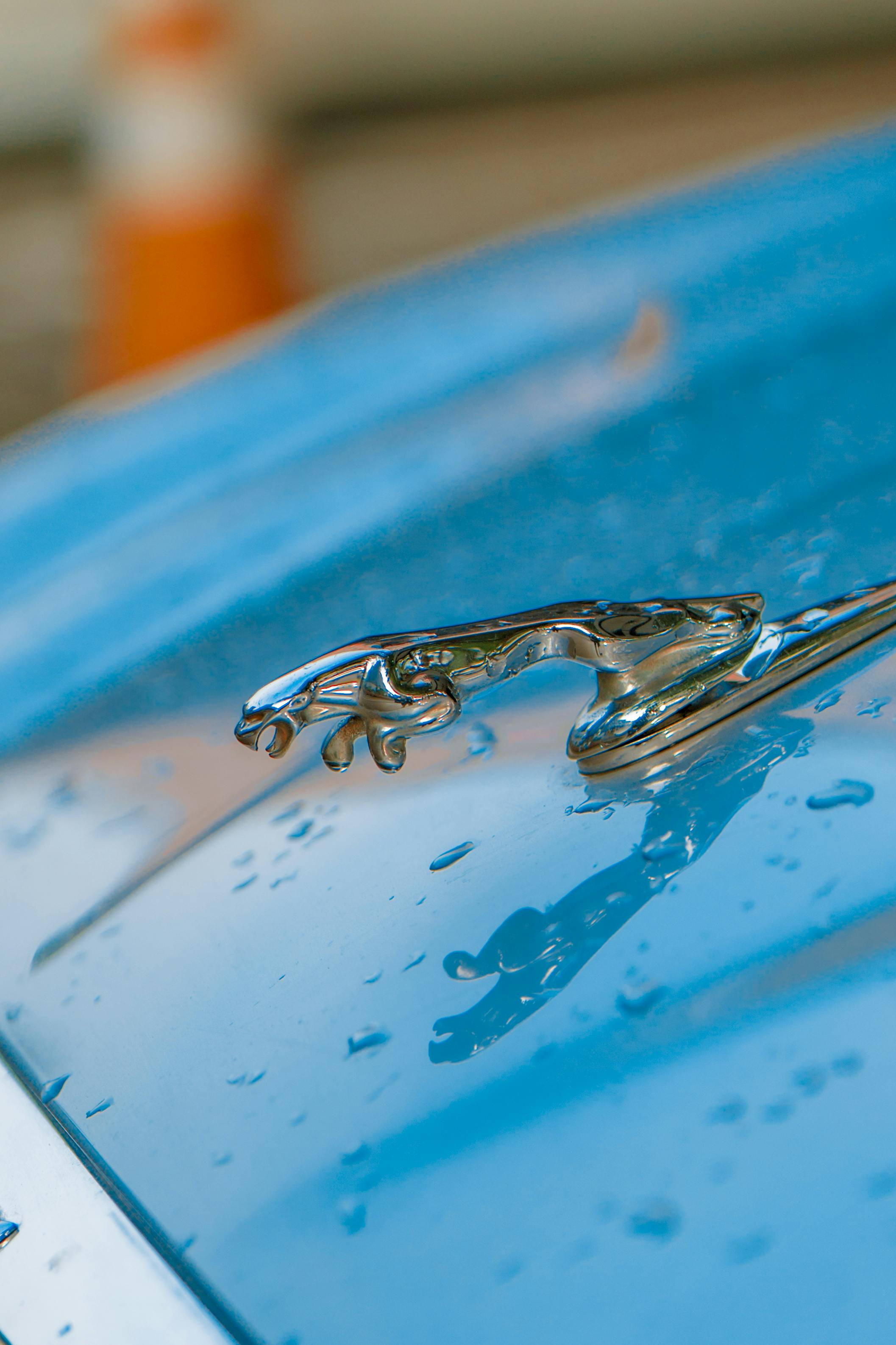 Jaguar F1 Photos, Download The BEST Free Jaguar F1 Stock Photos & HD Images