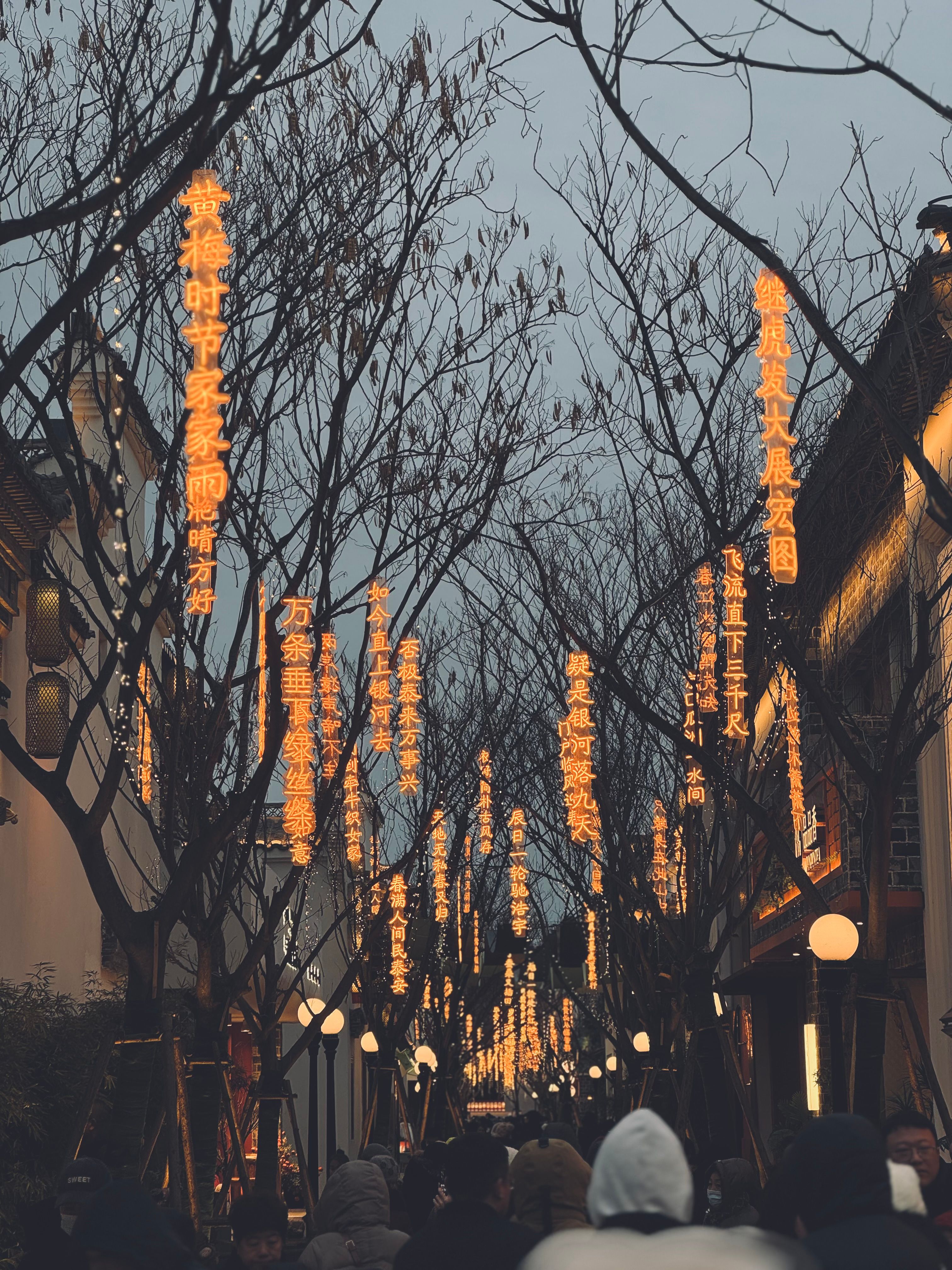 Edit in Canva