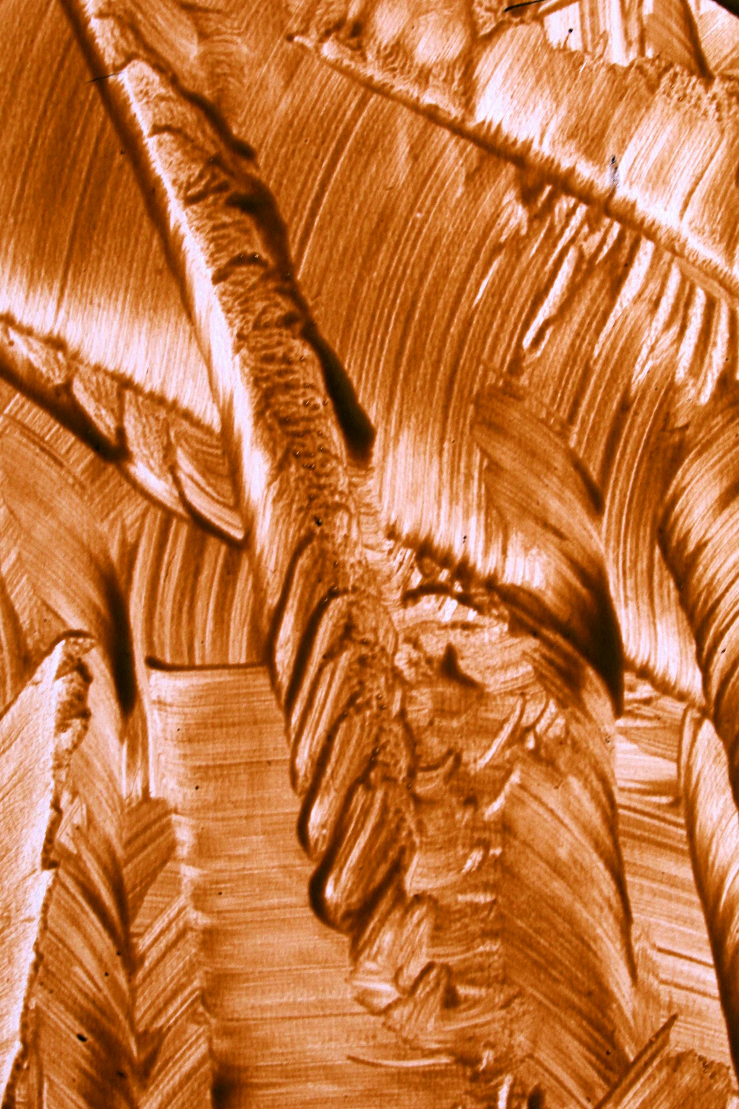 Abstract Texture of Bronze Brush Strokes · Free Stock Photo