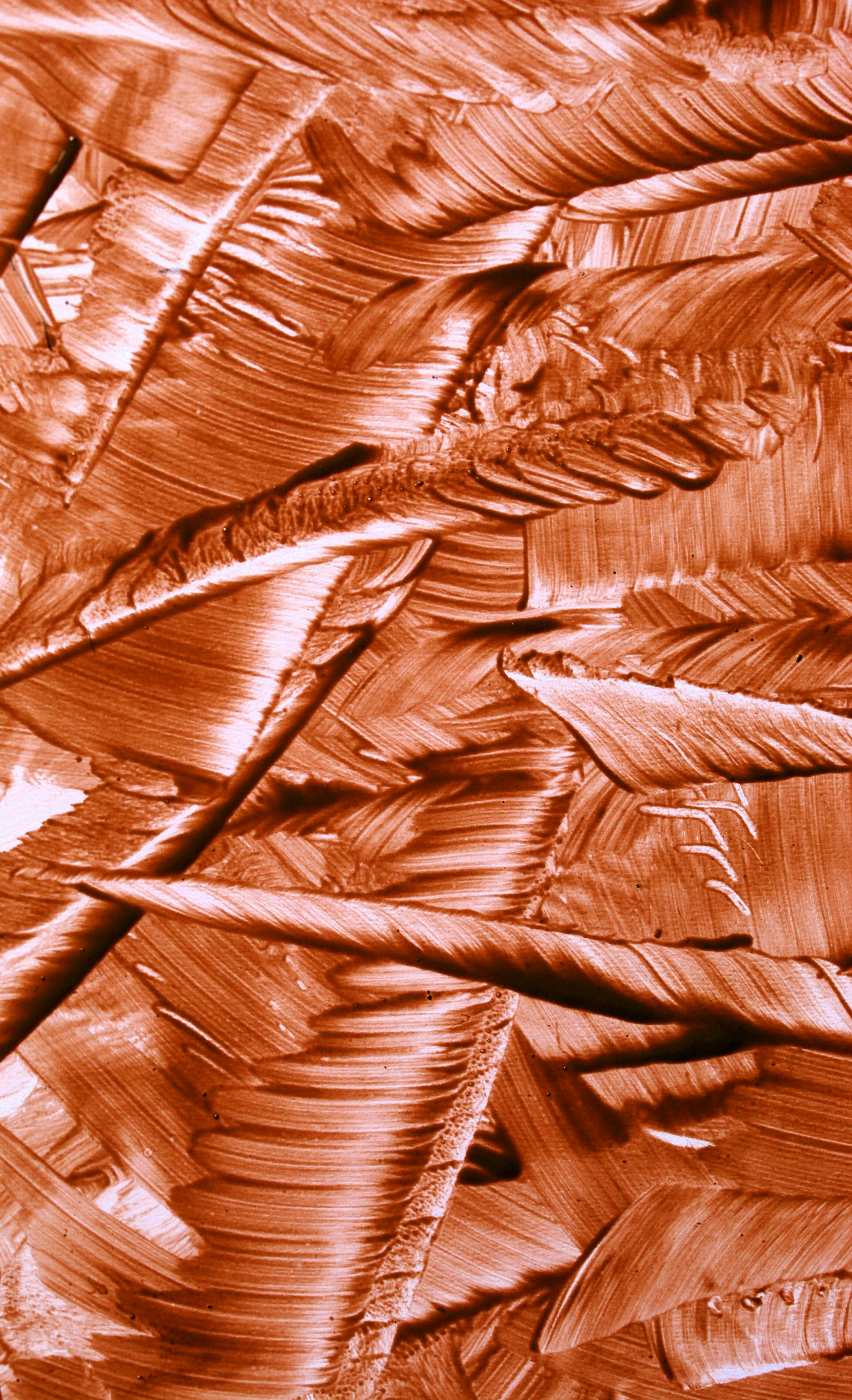 Abstract Brown Textured Art Photography · Free Stock Photo