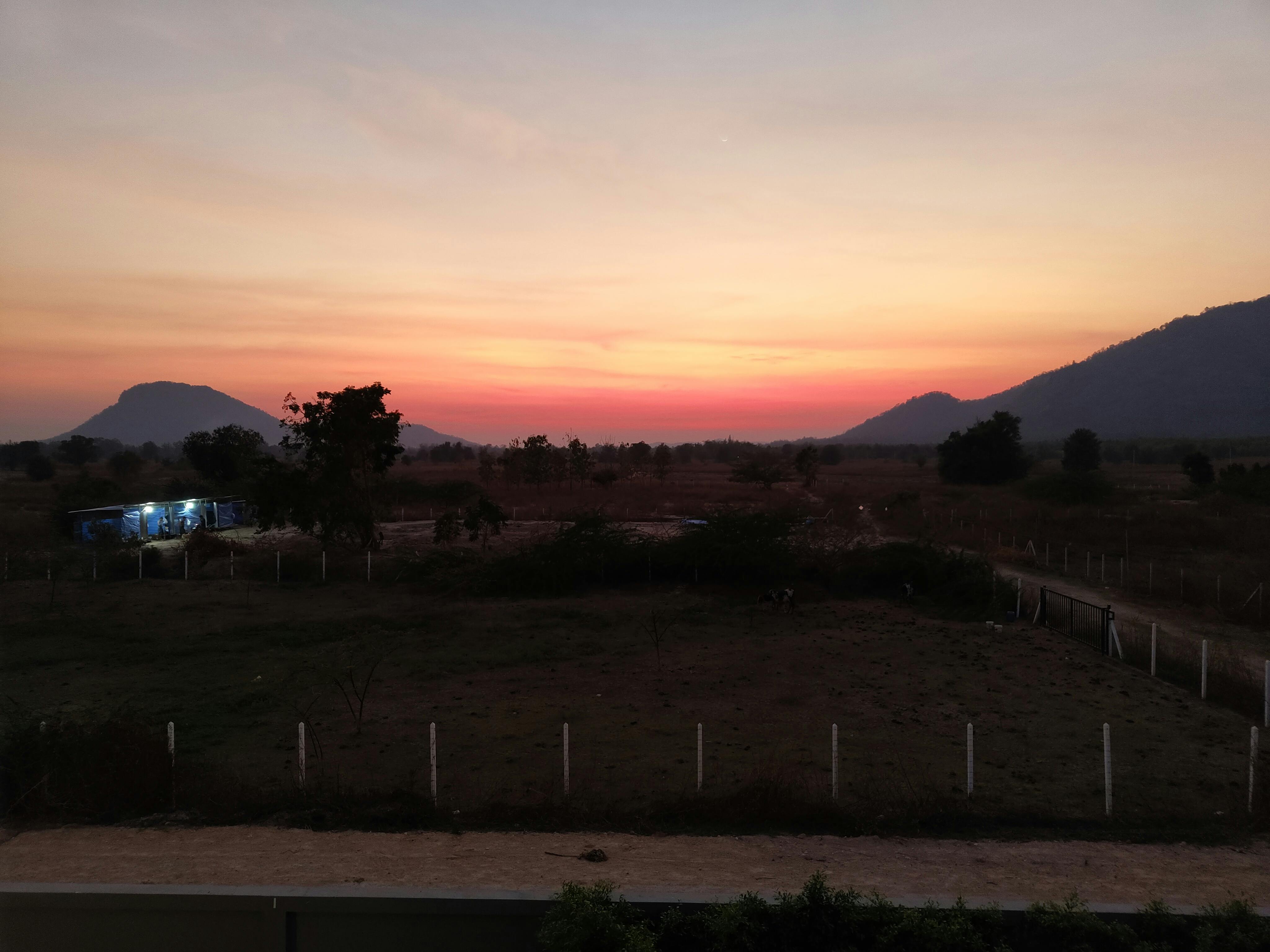 David Lomax - 摄影