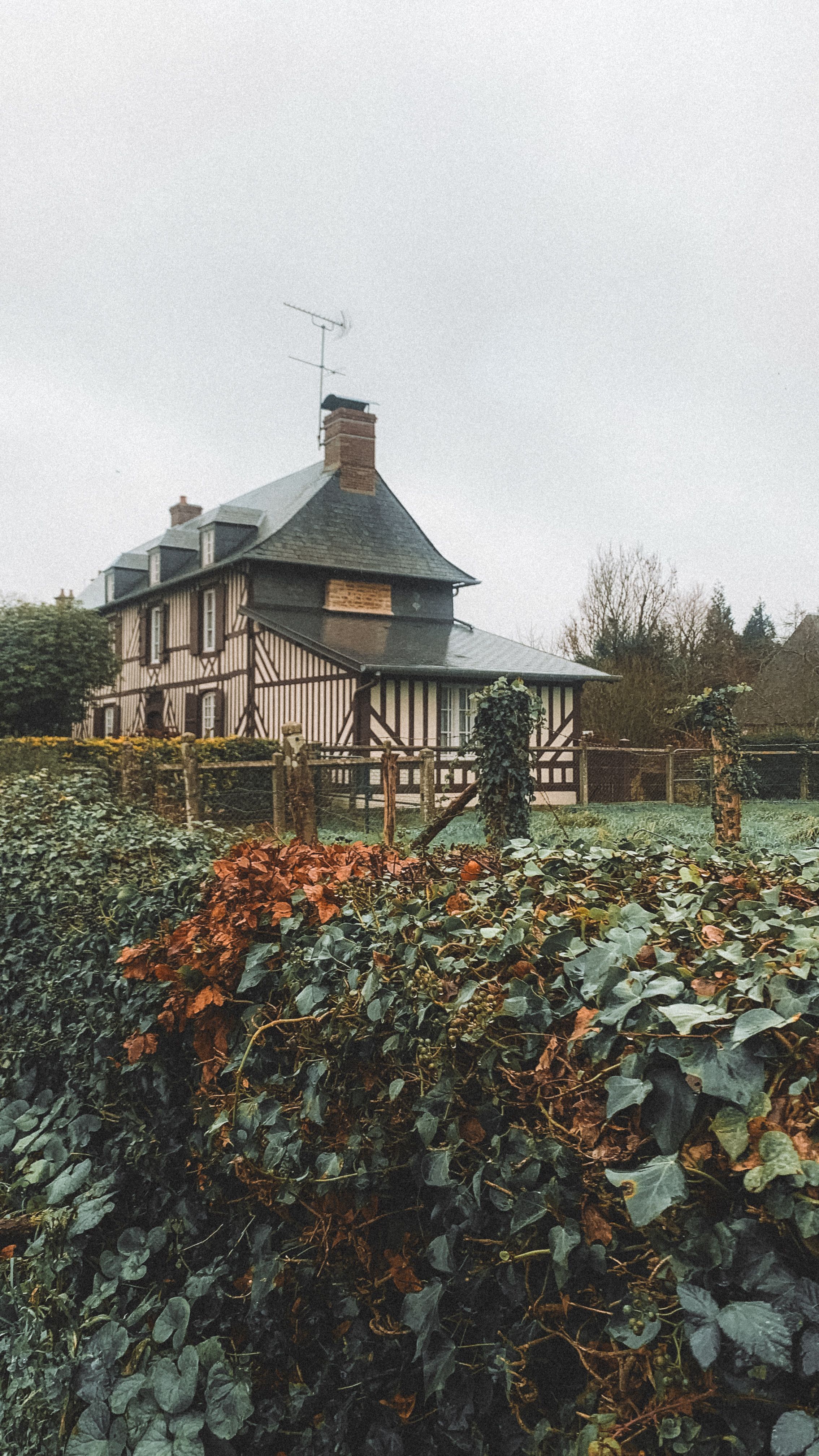 House Lanscape Photos, Download The BEST Free House Lanscape Stock ...