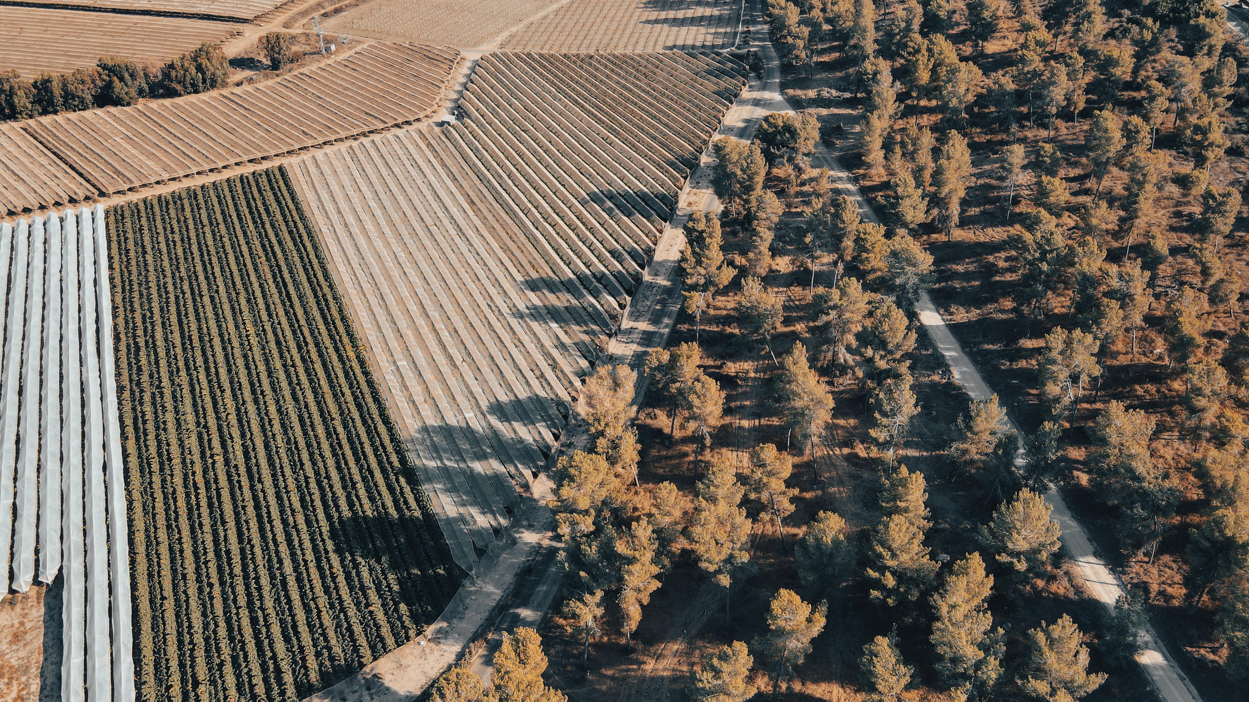 Aerial View of Agricultural Fields and Forest in Israel · Free Stock Photo