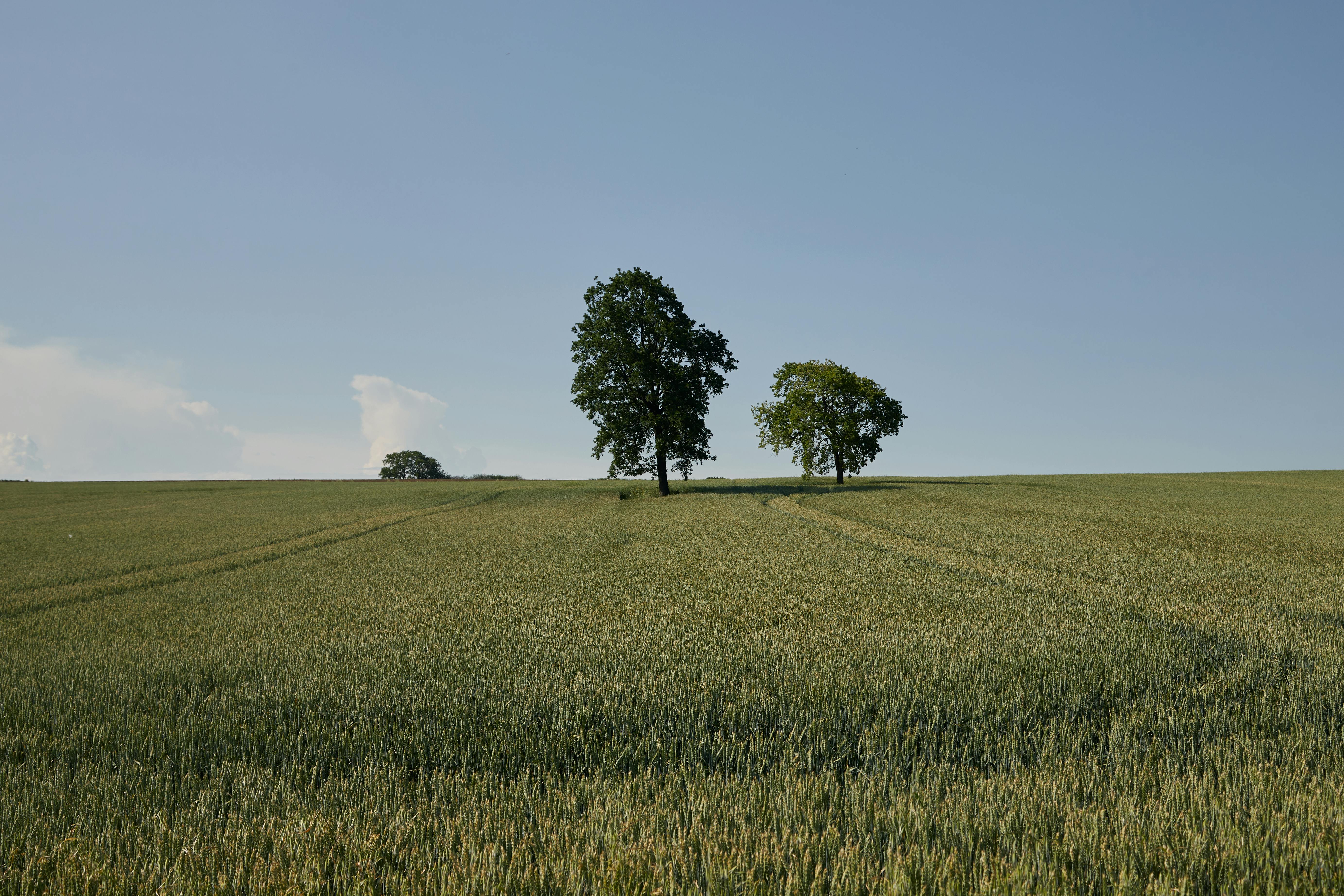 Plain Tracker Photos, Download The BEST Free Plain Tracker Stock Photos ...