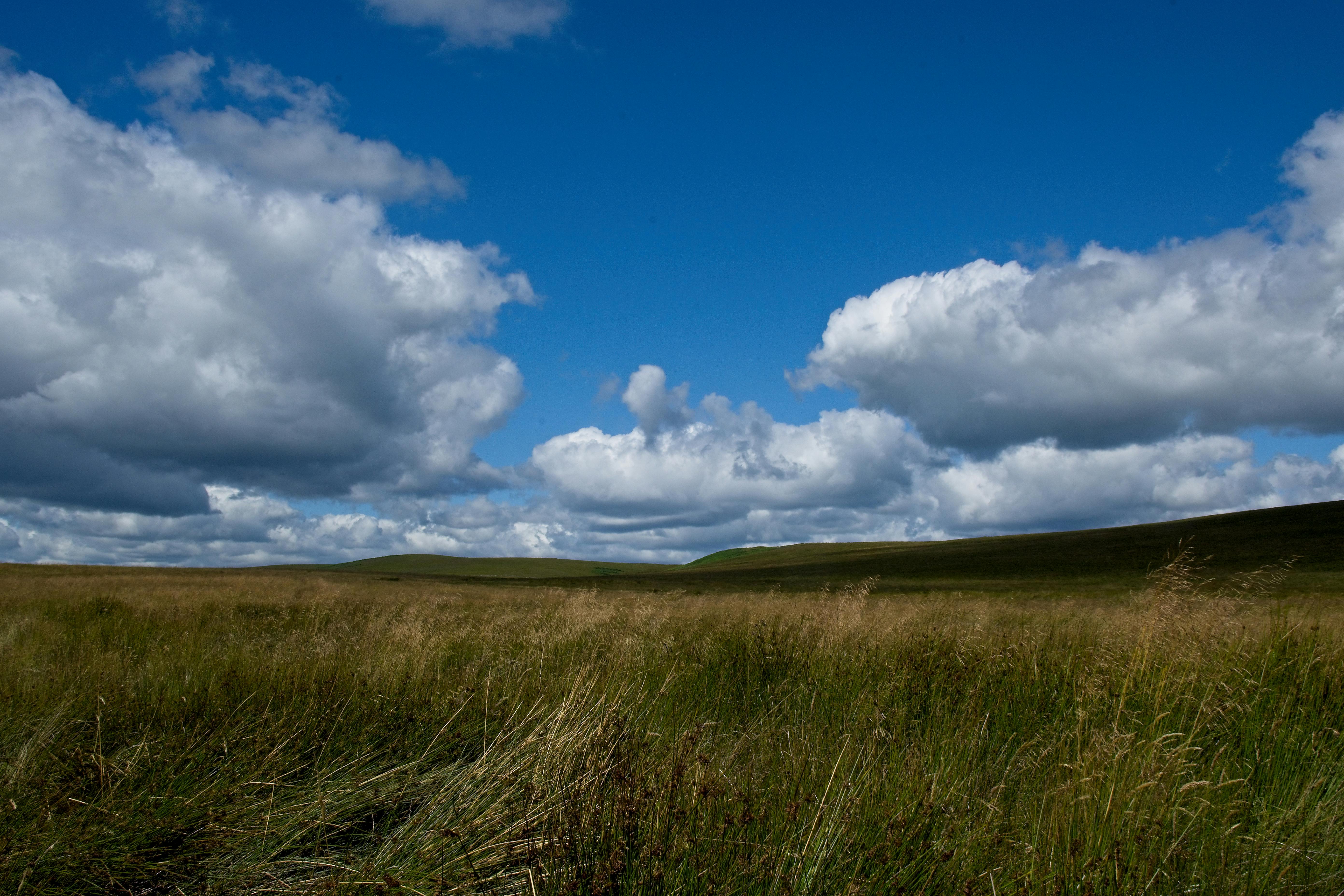 Bellingham Skyline' Photos, Download The BEST Free Bellingham Skyline ...
