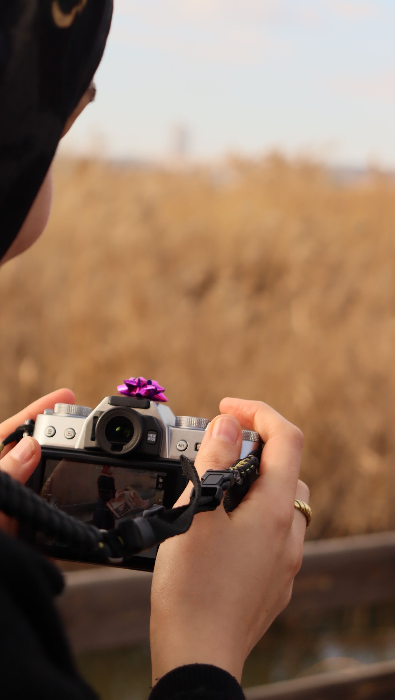 Photographer Capturing Nature Scene with Camera · Free Stock Photo