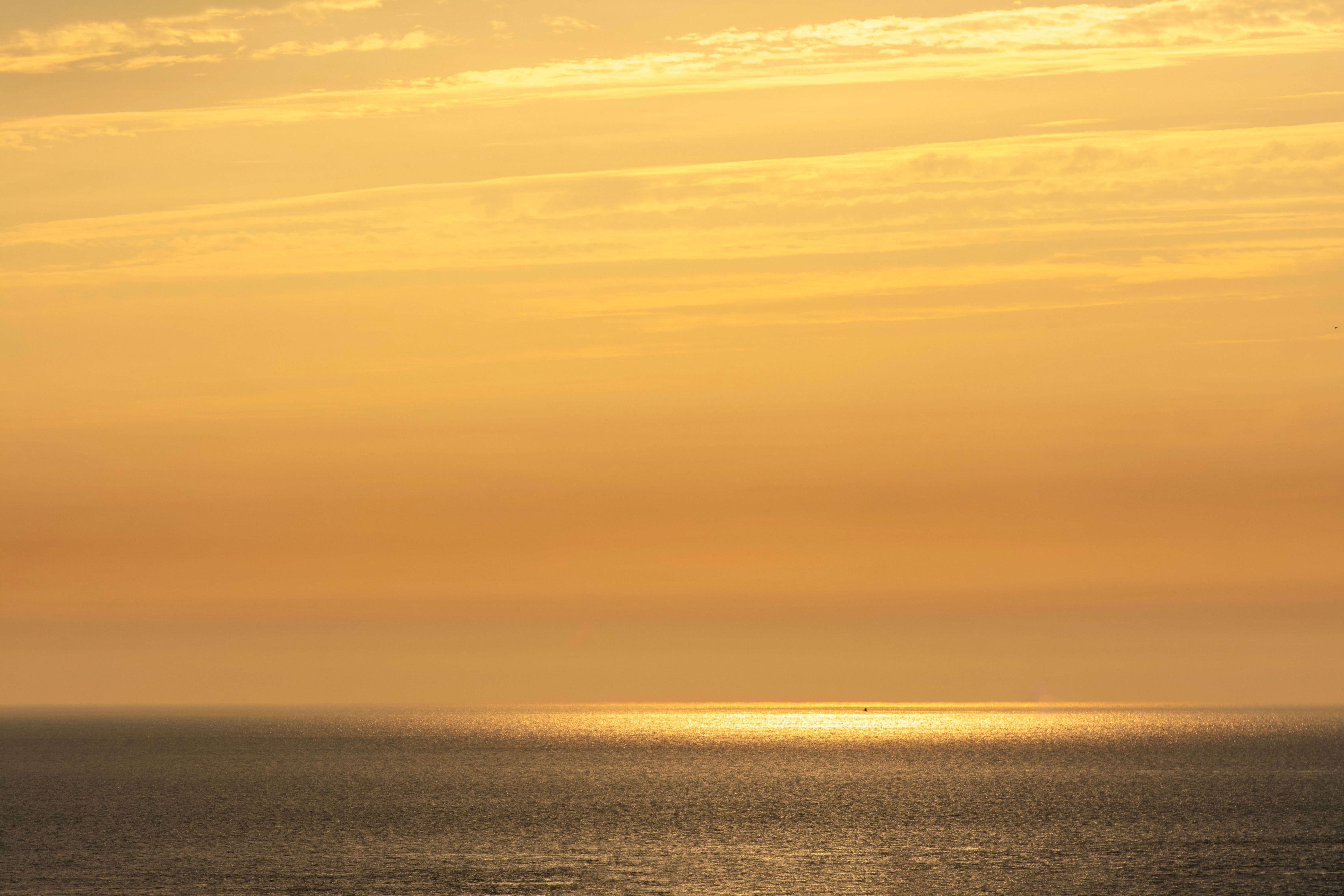 Golden Sea Horizon at Sunset · Free Stock Photo
