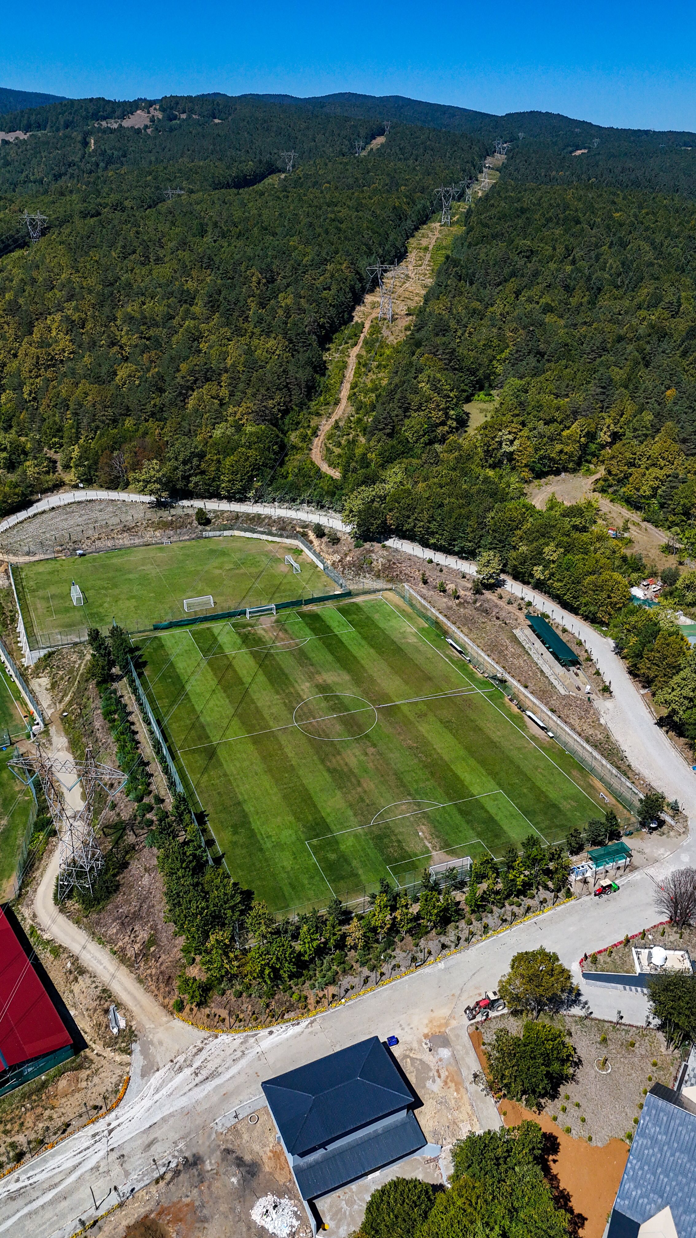 Aerial view of lush green soccer field surrounded by forest · Free ...