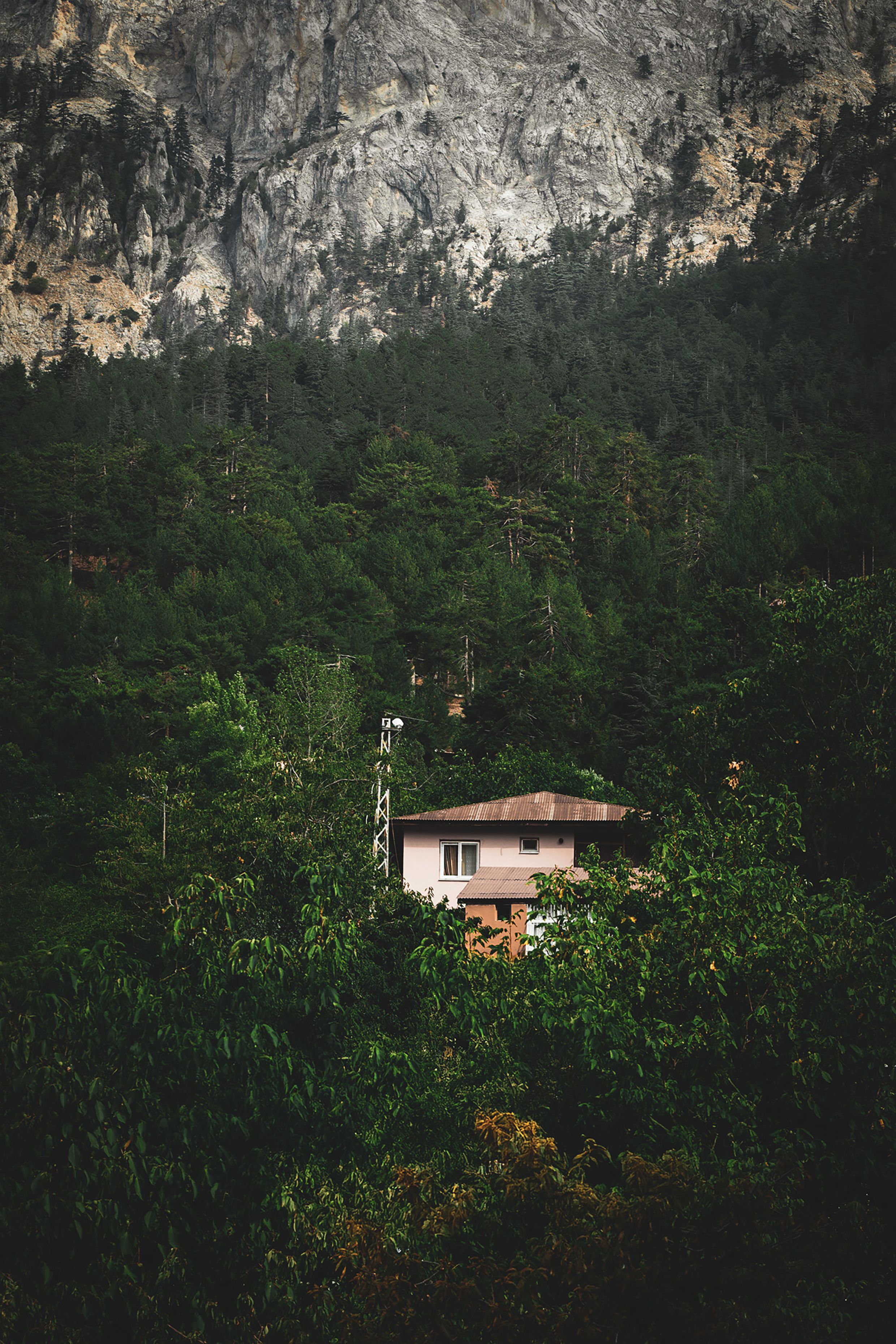 House Lanscape Photos, Download The BEST Free House Lanscape Stock ...