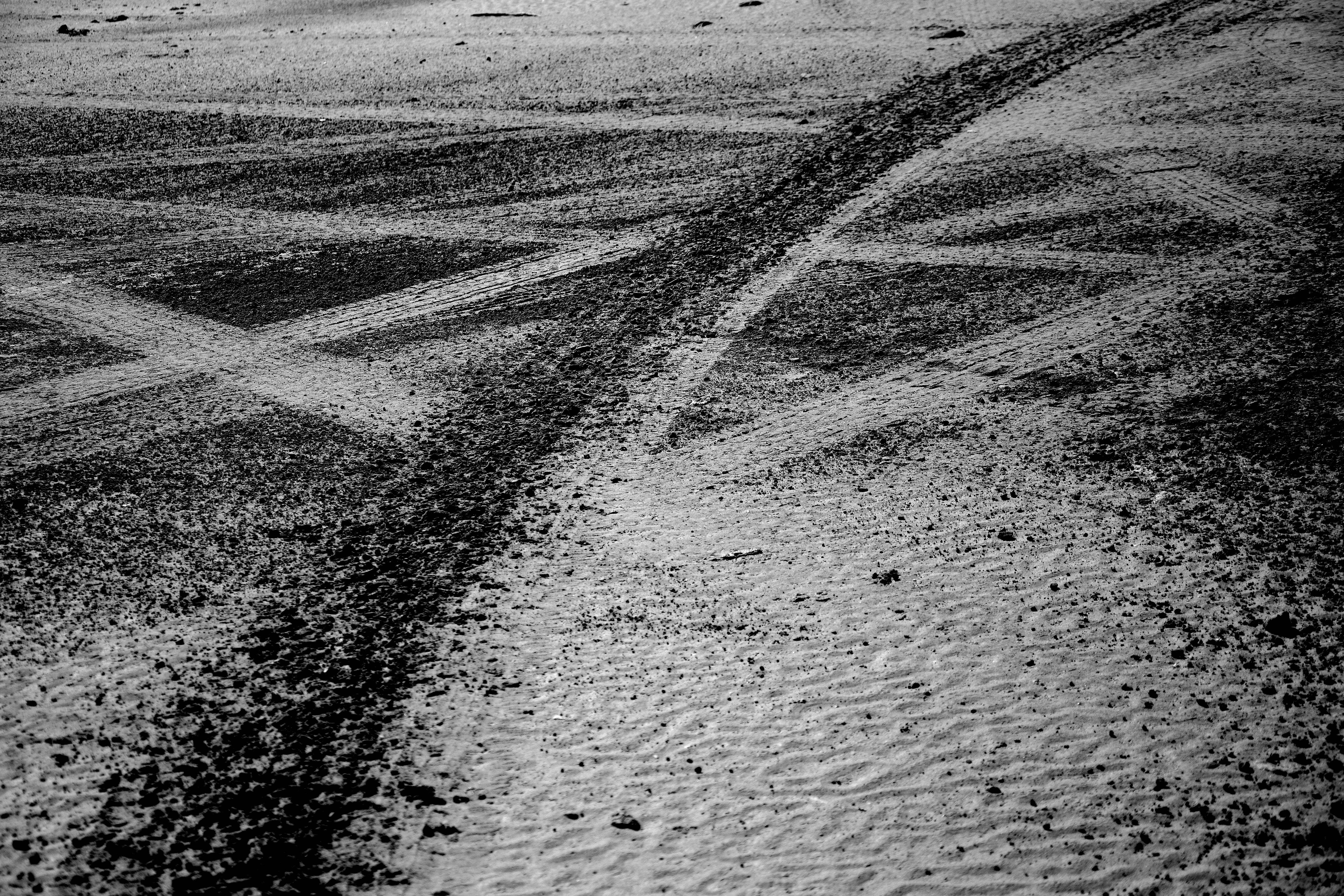 Monochrome Desert Tracks on Sandy Terrain · Free Stock Photo