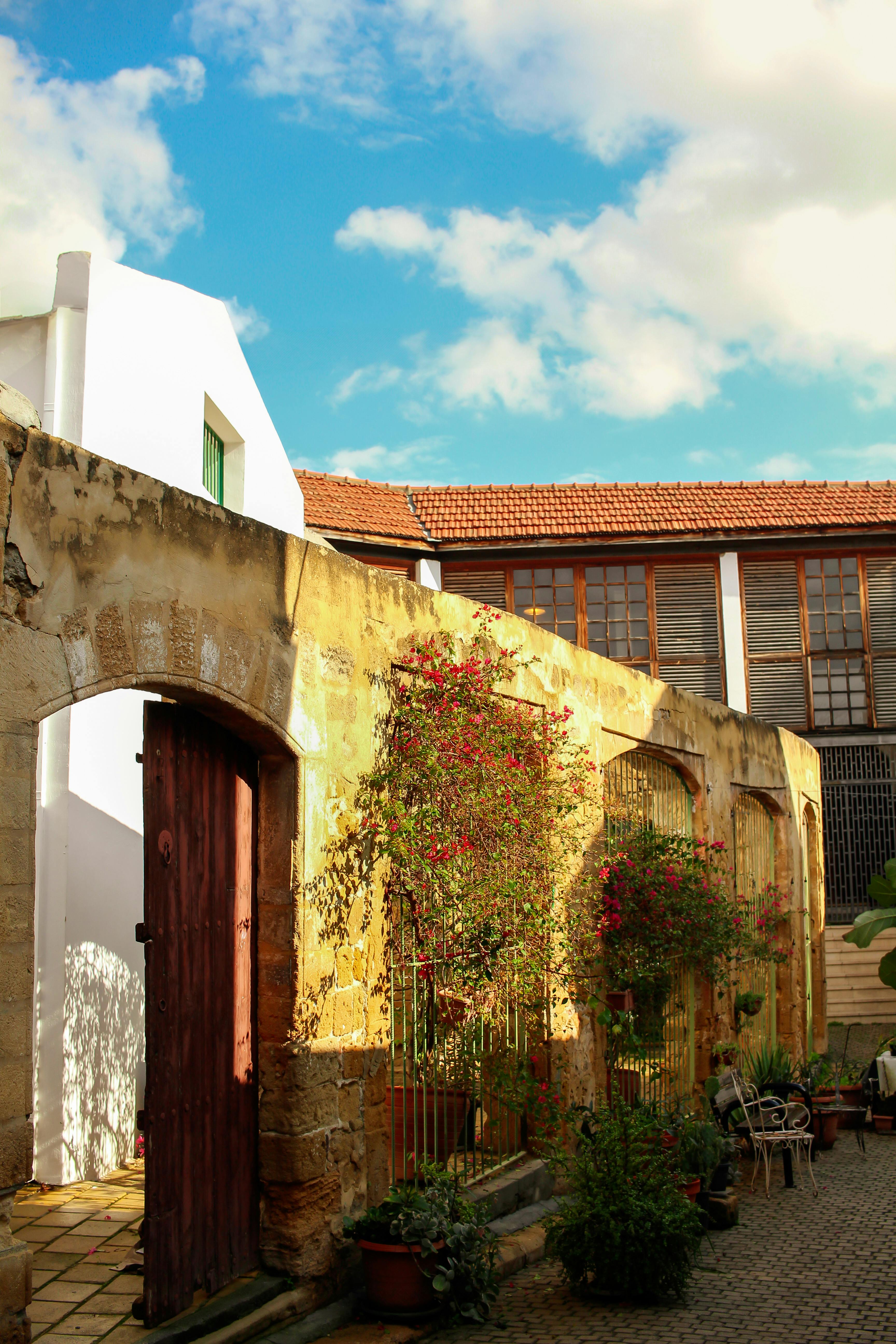 Adobe+Pics Photos, Download The BEST Free Adobe+Pics Stock Photos & HD ...