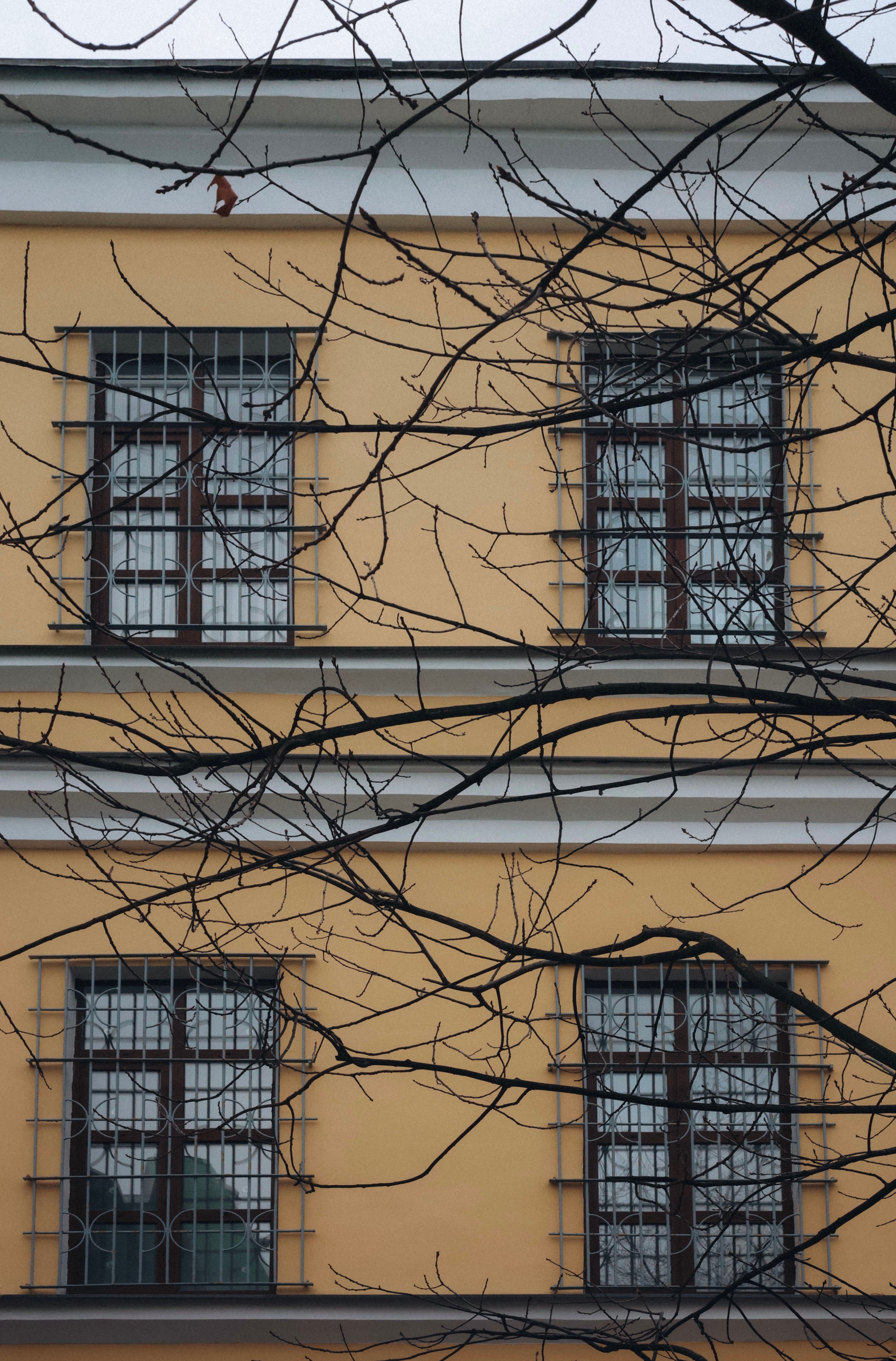 Yellow Building Facade with Bare Branches in Winter · Free Stock Photo