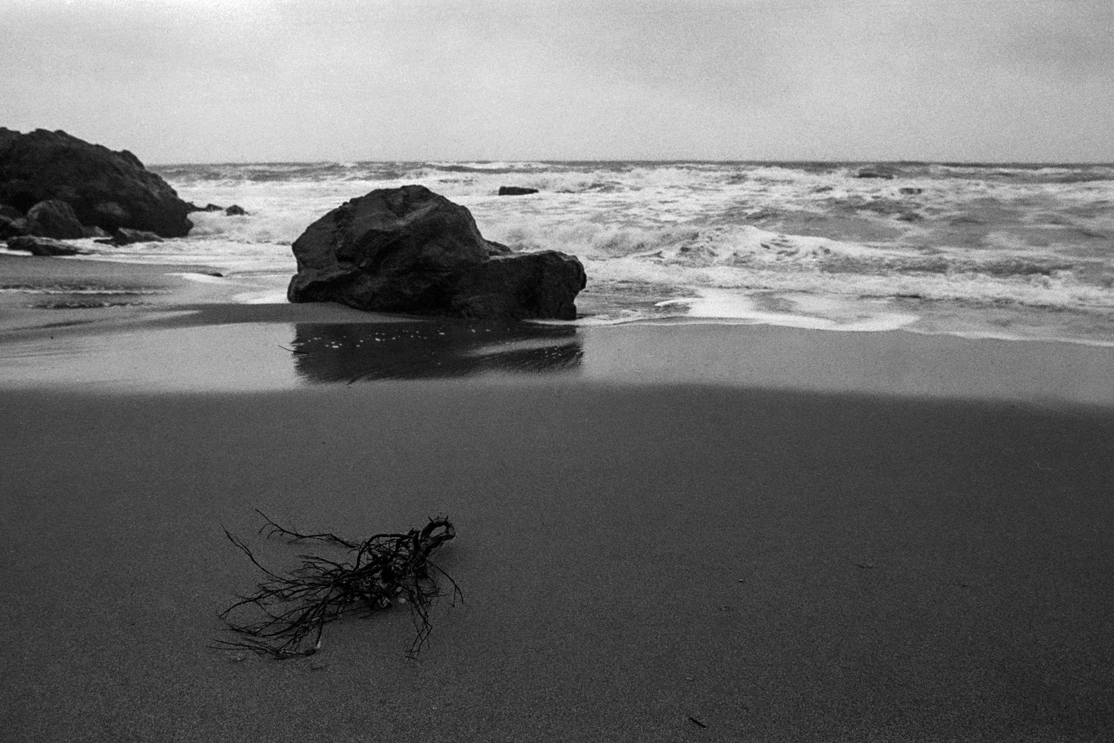 Film Beach Vaca Photos, Download The BEST Free Film Beach Vaca Stock ...