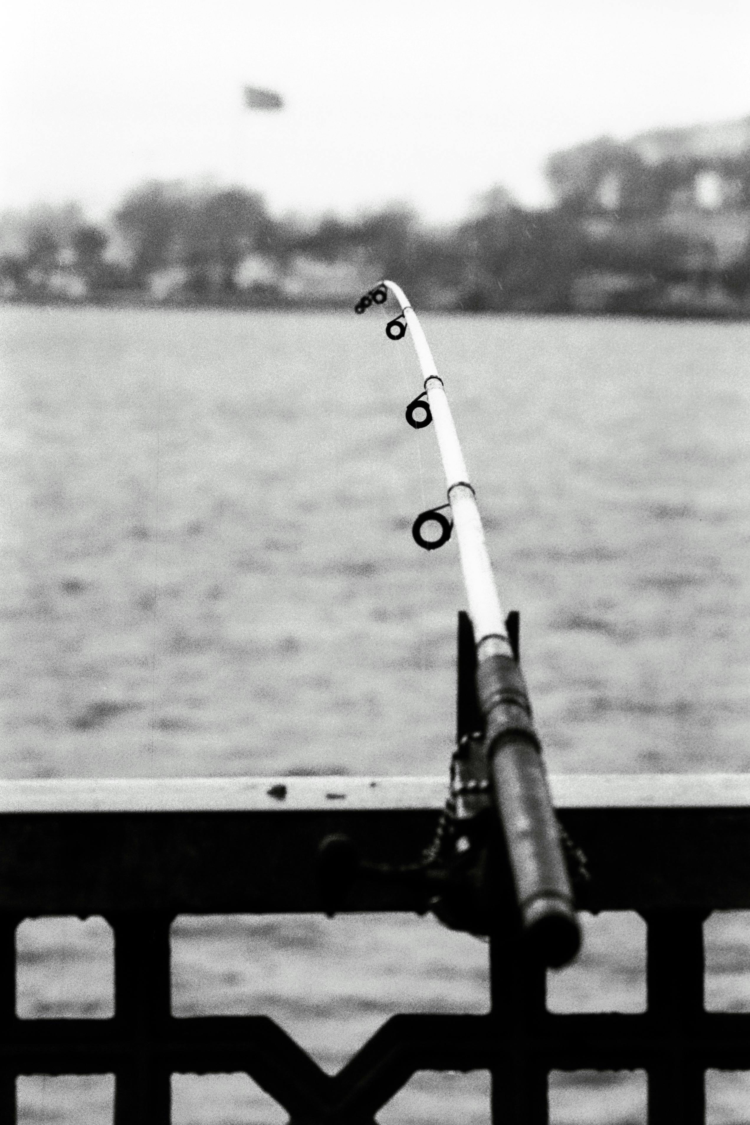 Black and White Fishing Rod by Bosphorus · Free Stock Photo