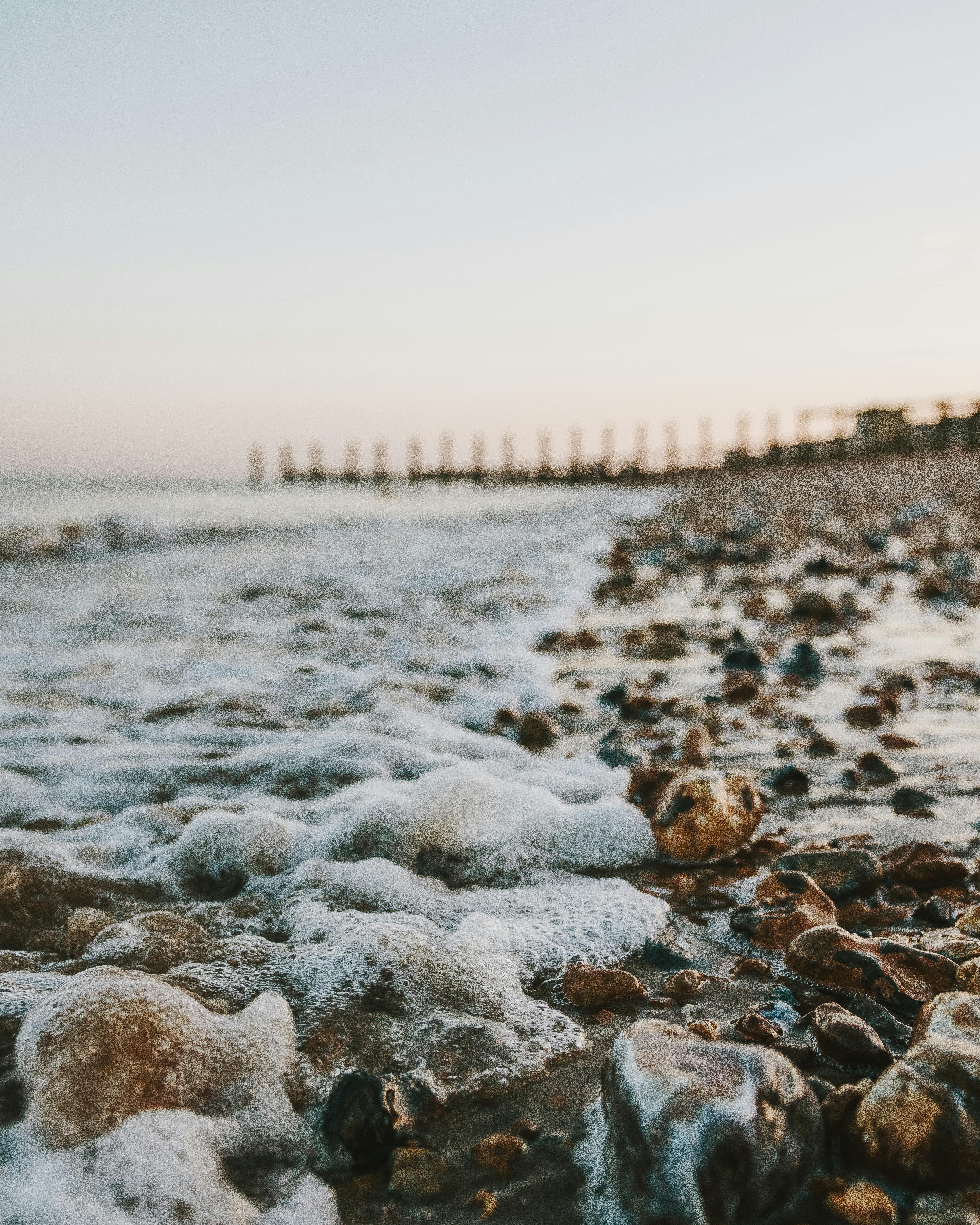 Seashore · Free Stock Photo