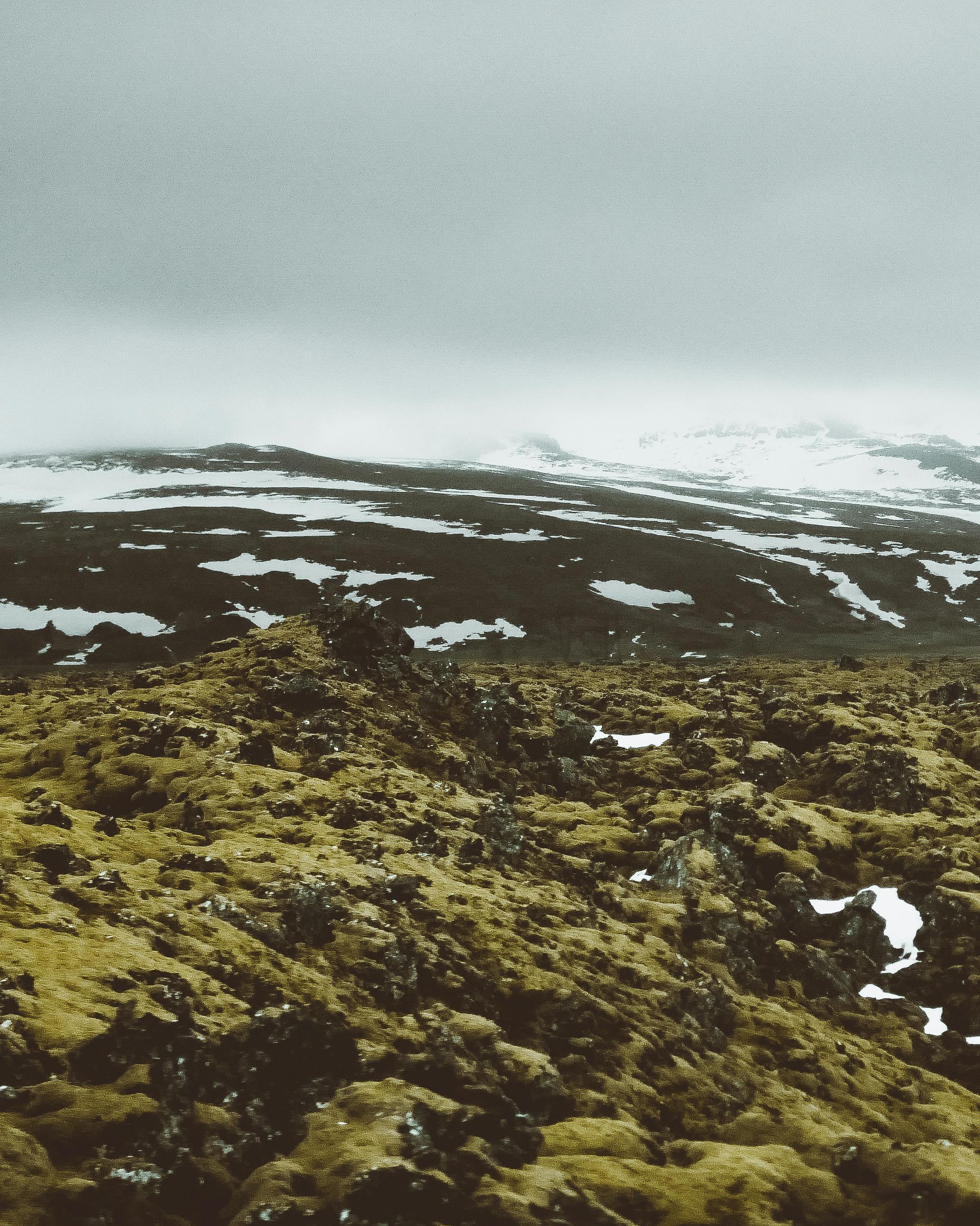 Green Field with Snow · Free Stock Photo