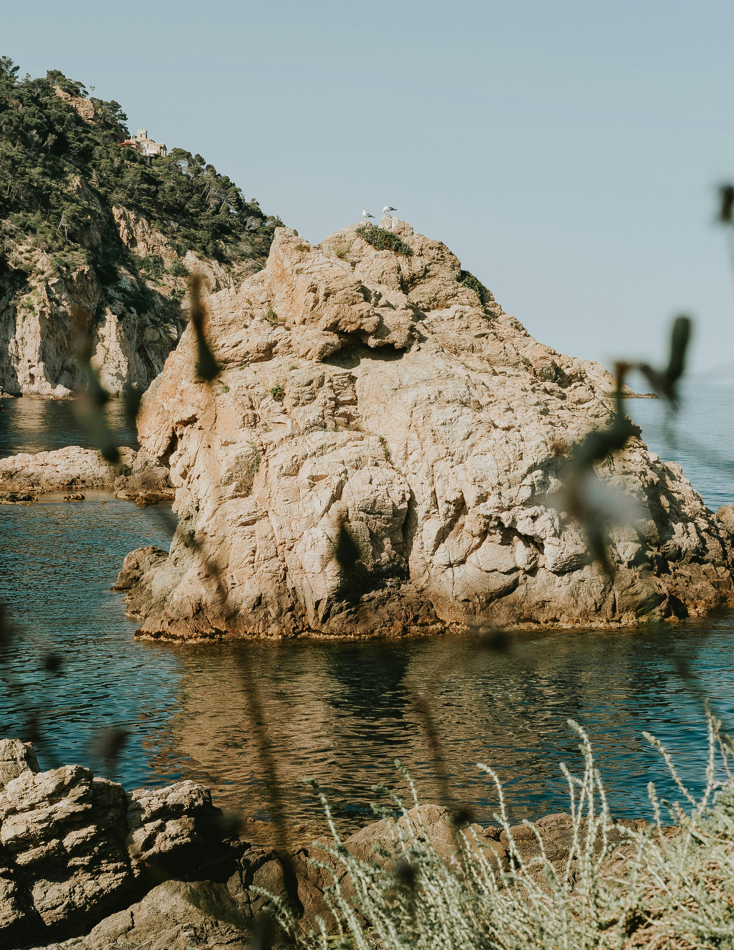 Rock Islet · Free Stock Photo