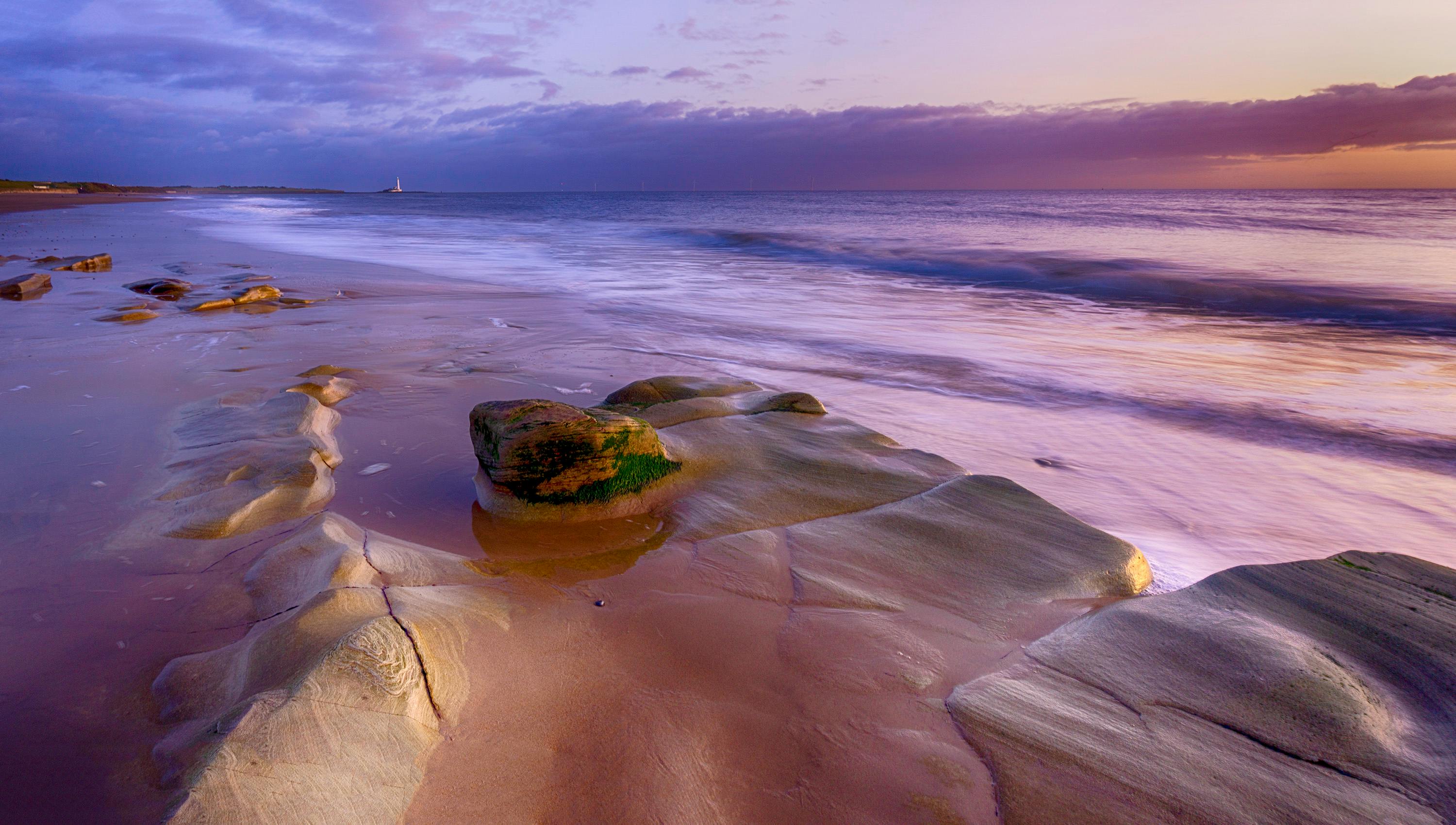 Seashore · Free Stock Photo