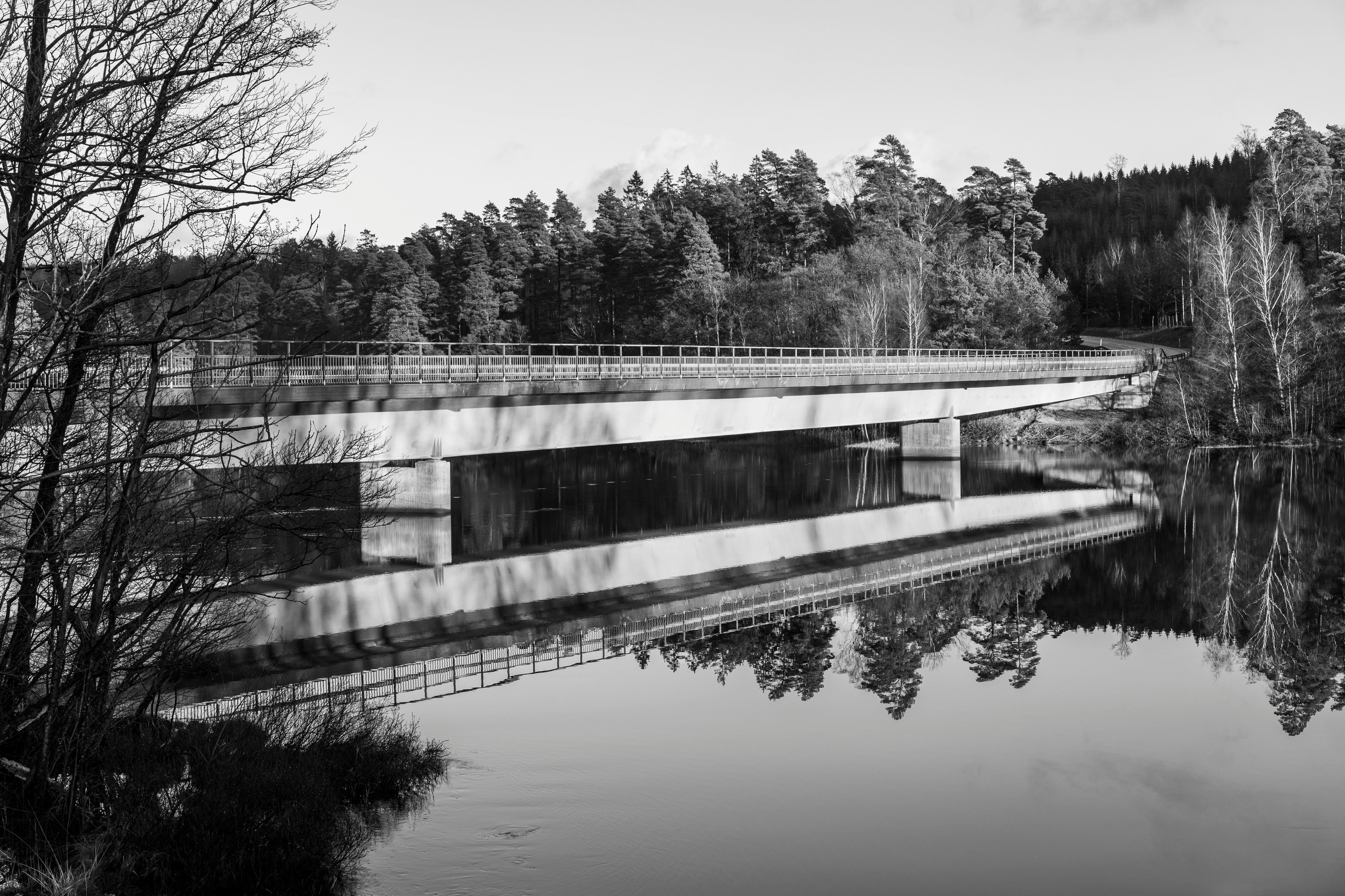 Postimages+Loop Photos, Download The BEST Free Postimages+Loop Stock Photos & HD Images