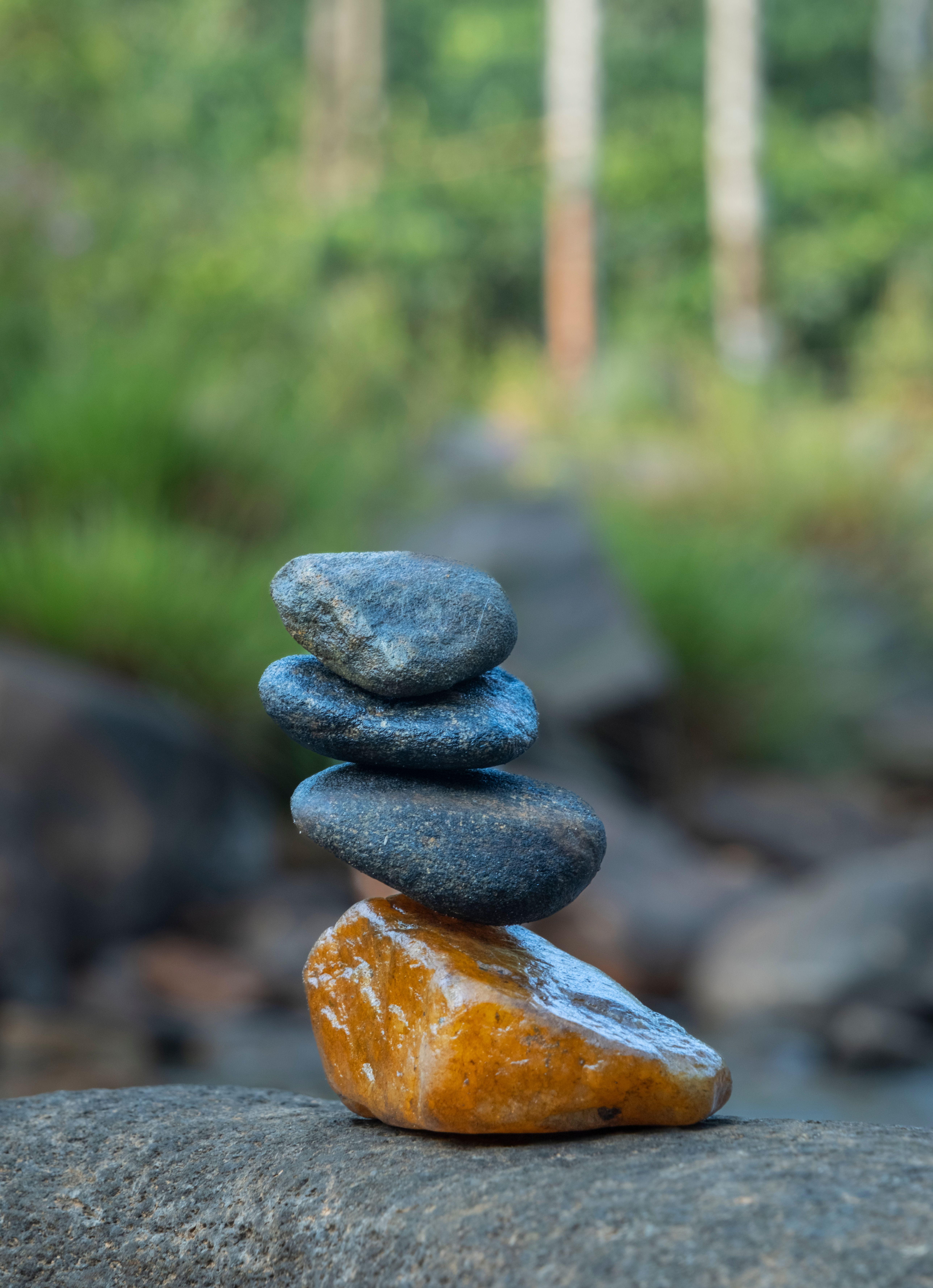 Natural Equilibrium Photos, Download The BEST Free Natural Equilibrium ...