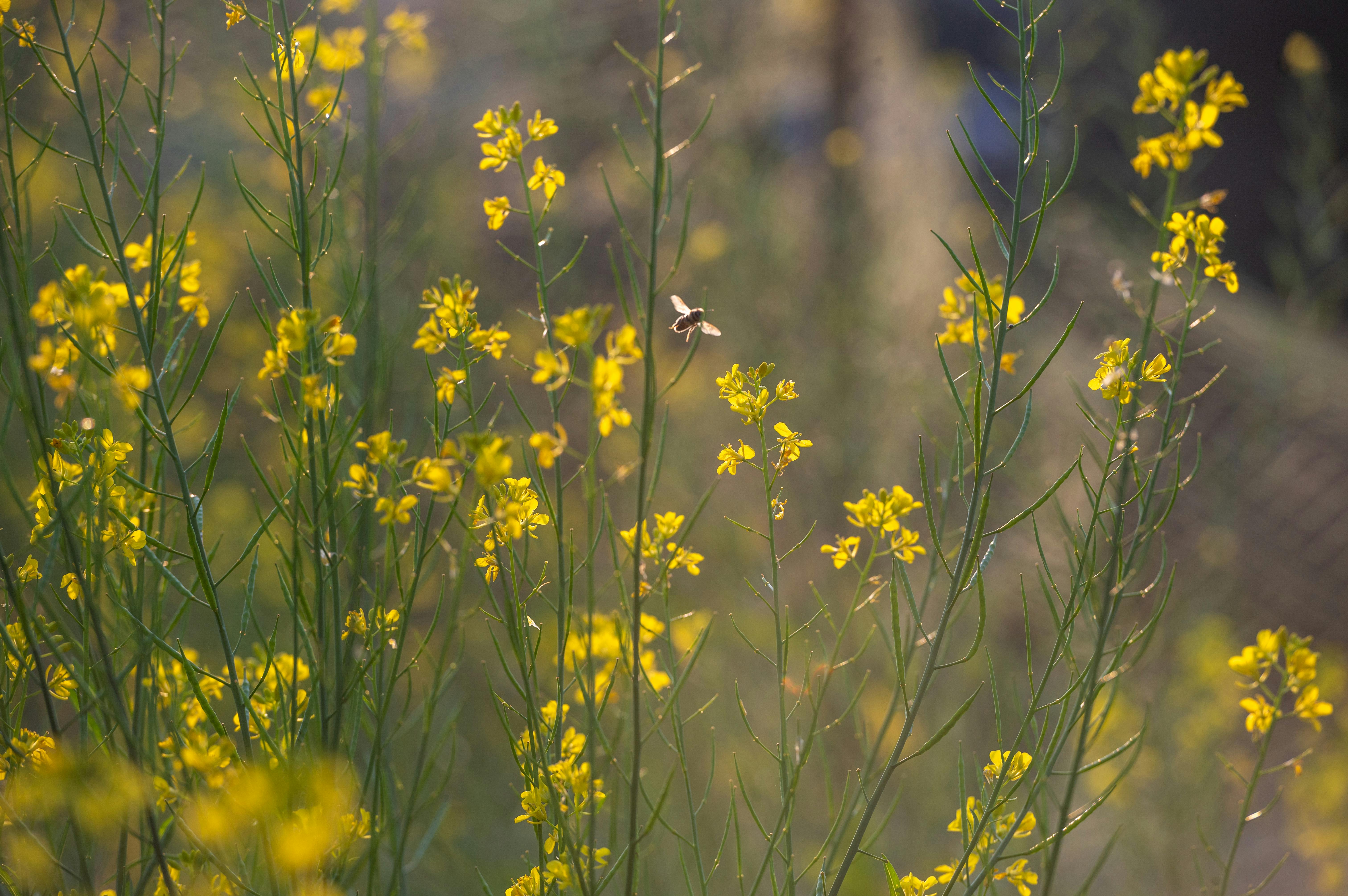 Bio Afval Photos, Download The BEST Free Bio Afval Stock Photos & HD Images