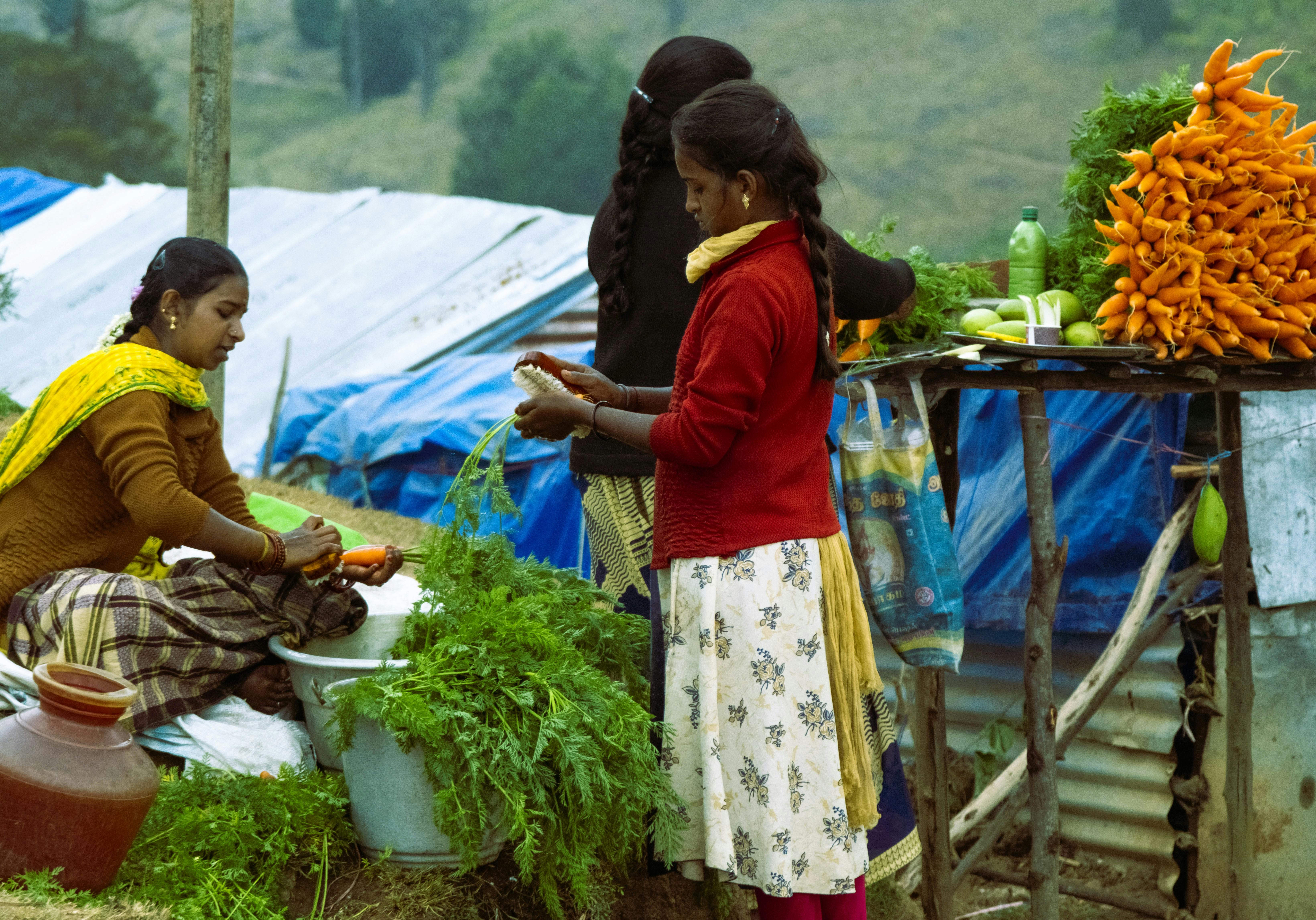 Rural Indian Market Scene with Women Selling Carrots · Free Stock Photo