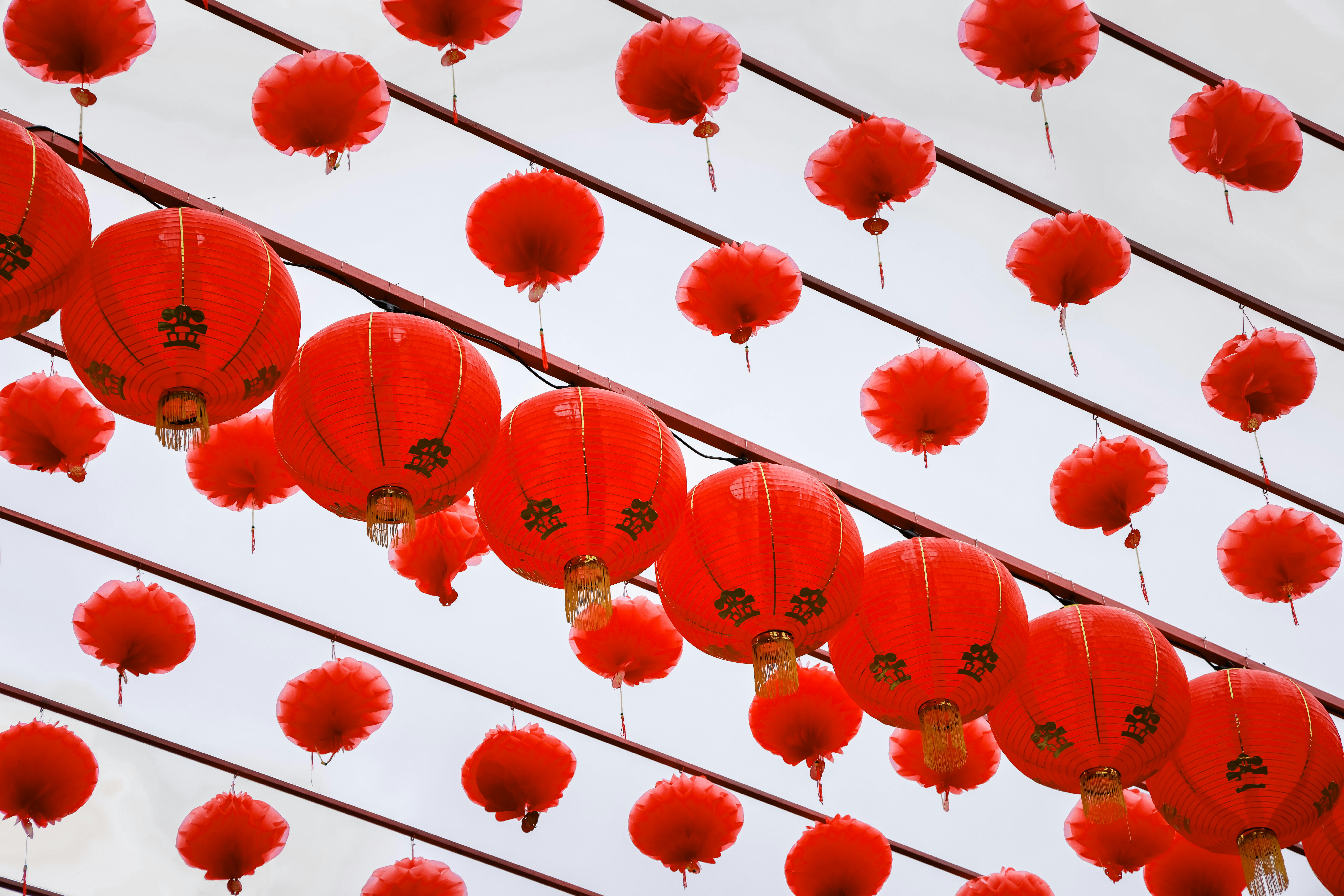 Vibrant Red Chinese Lanterns in West Java · Free Stock Photo
