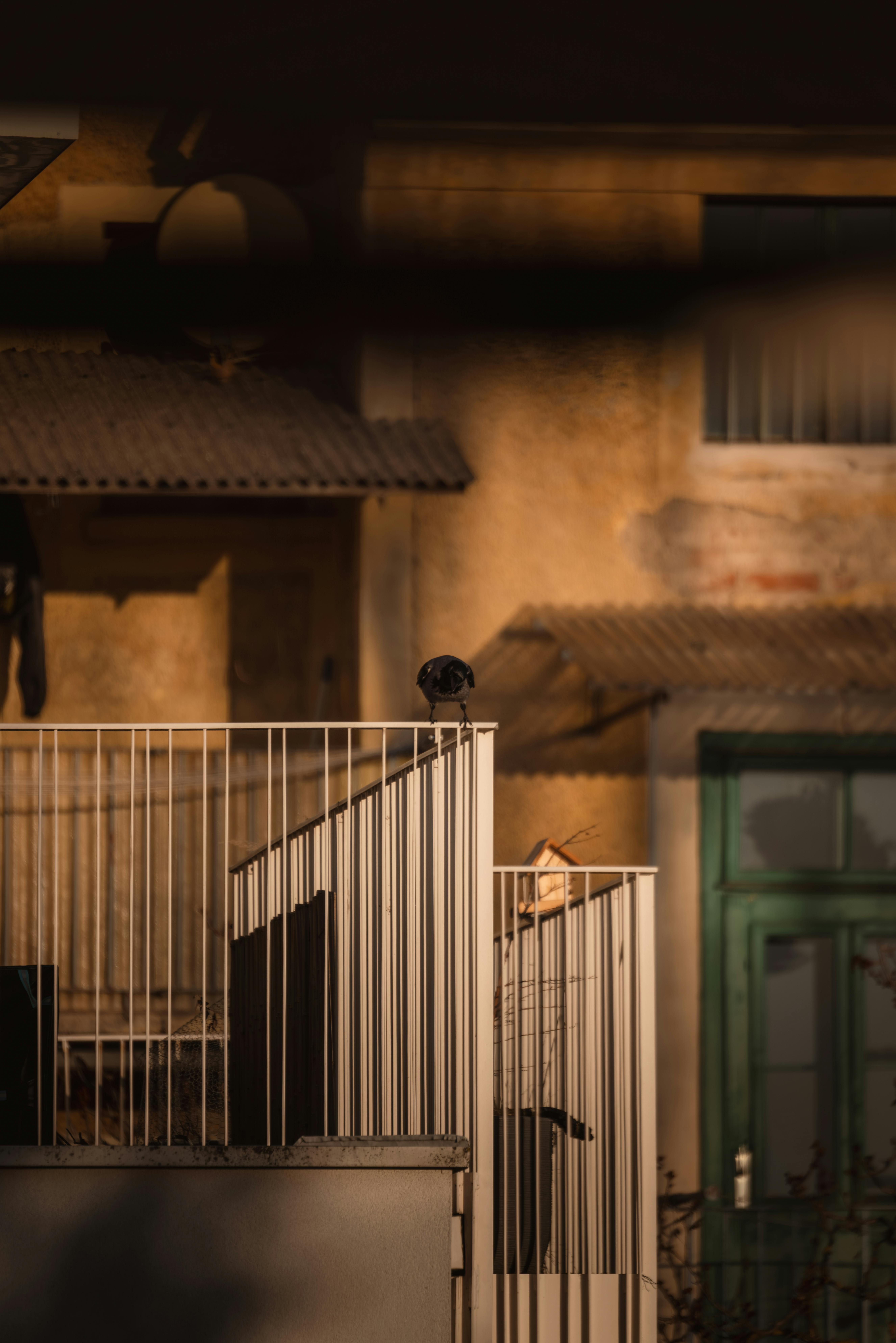 4k Balcoy Railing Photos, Download The BEST Free 4k Balcoy Railing ...