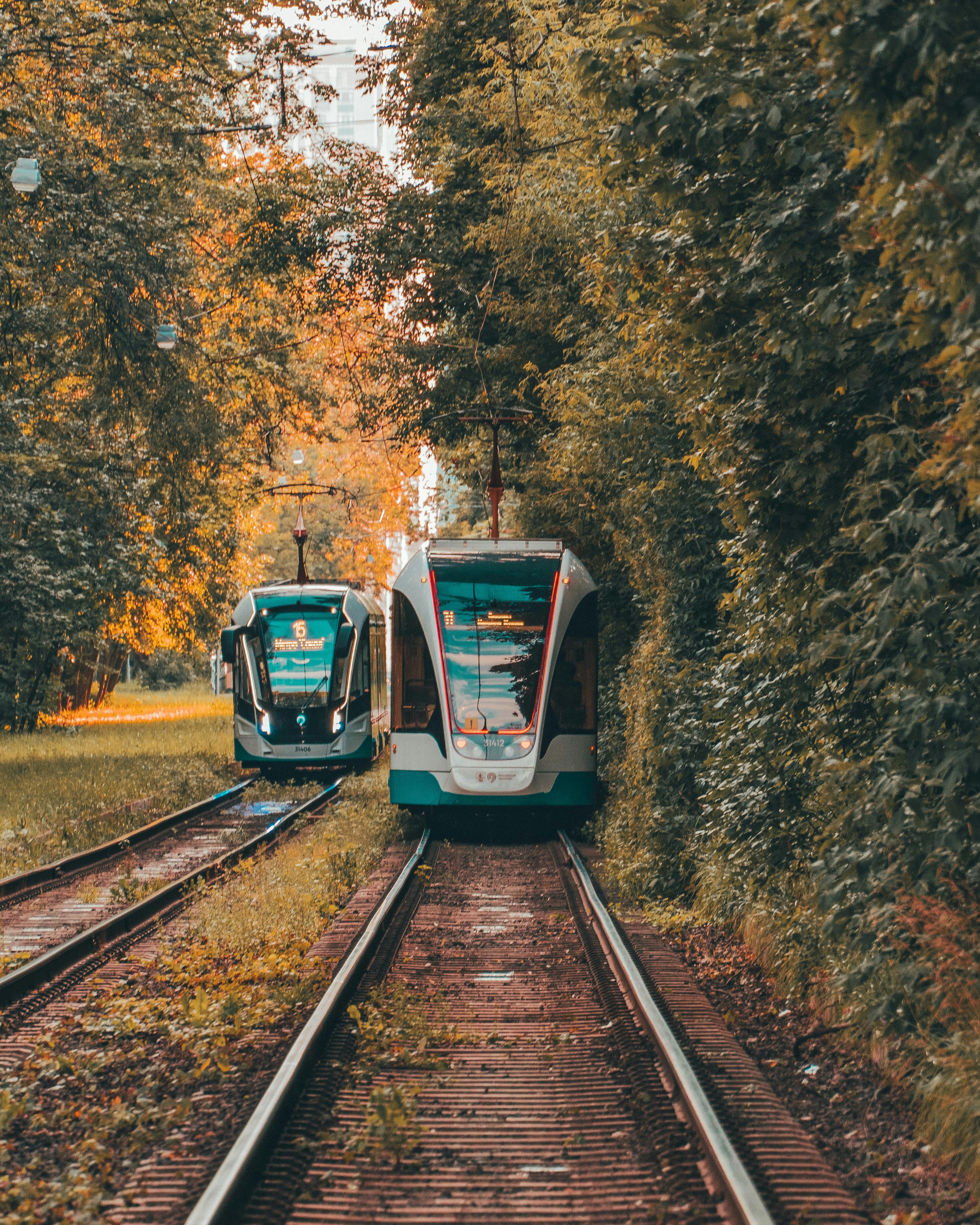 Trams Traveling Through Lush Green Forest · Free Stock Photo